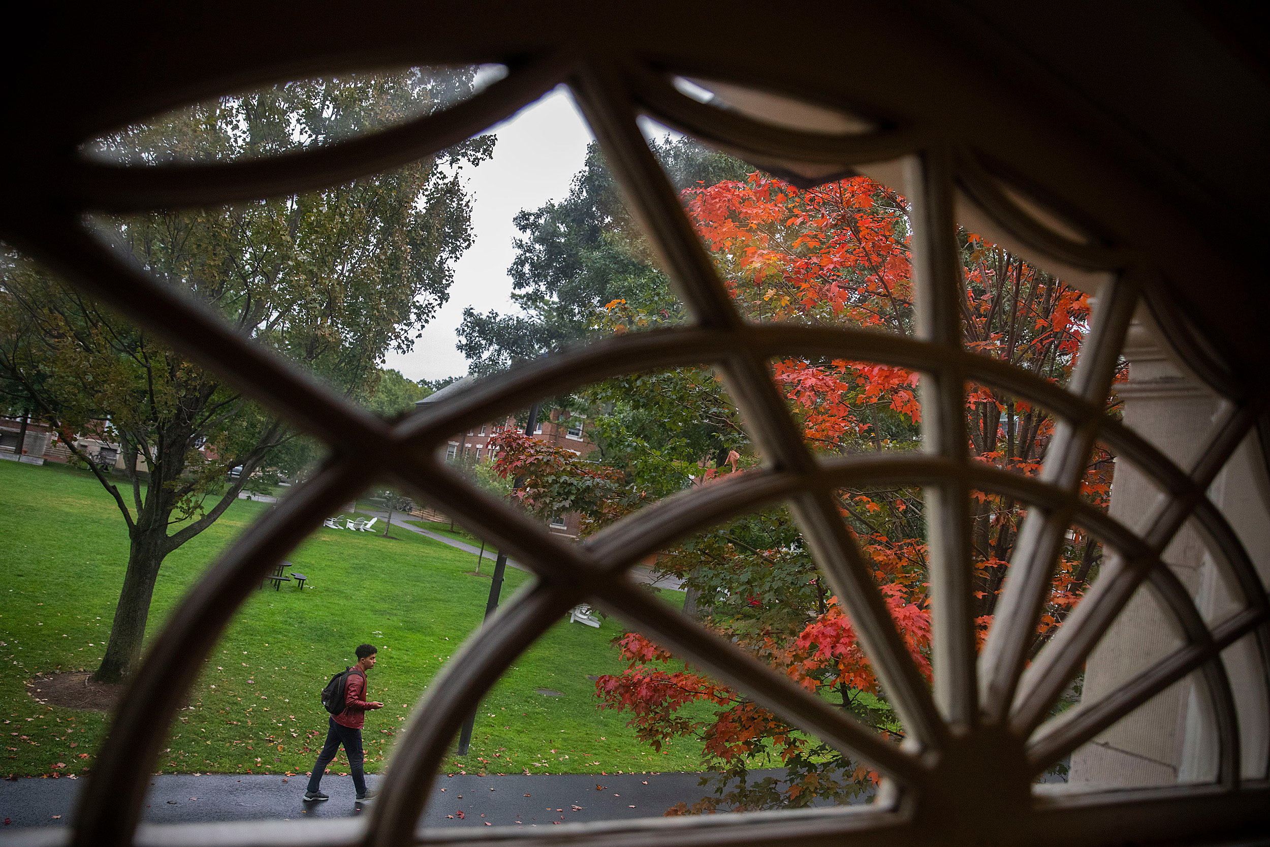 A window onto campus life at Harvard — Harvard Gazette
