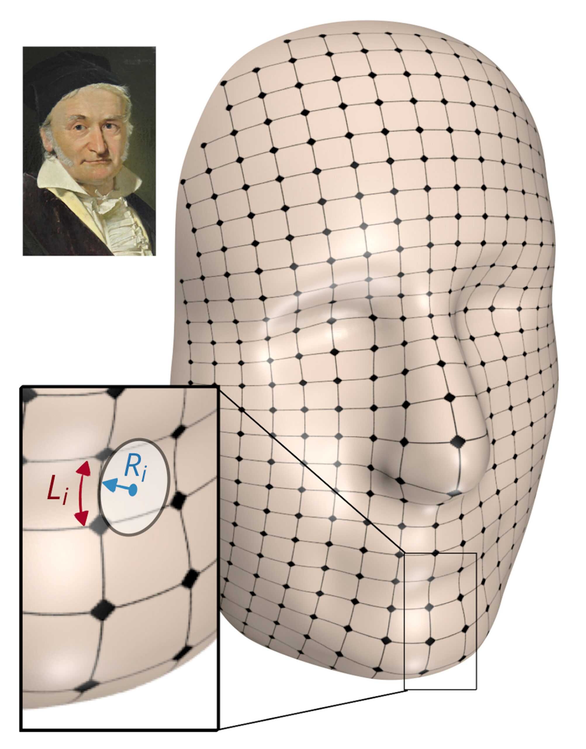 Shape-shifting structures can take the form of a face, antenna ...