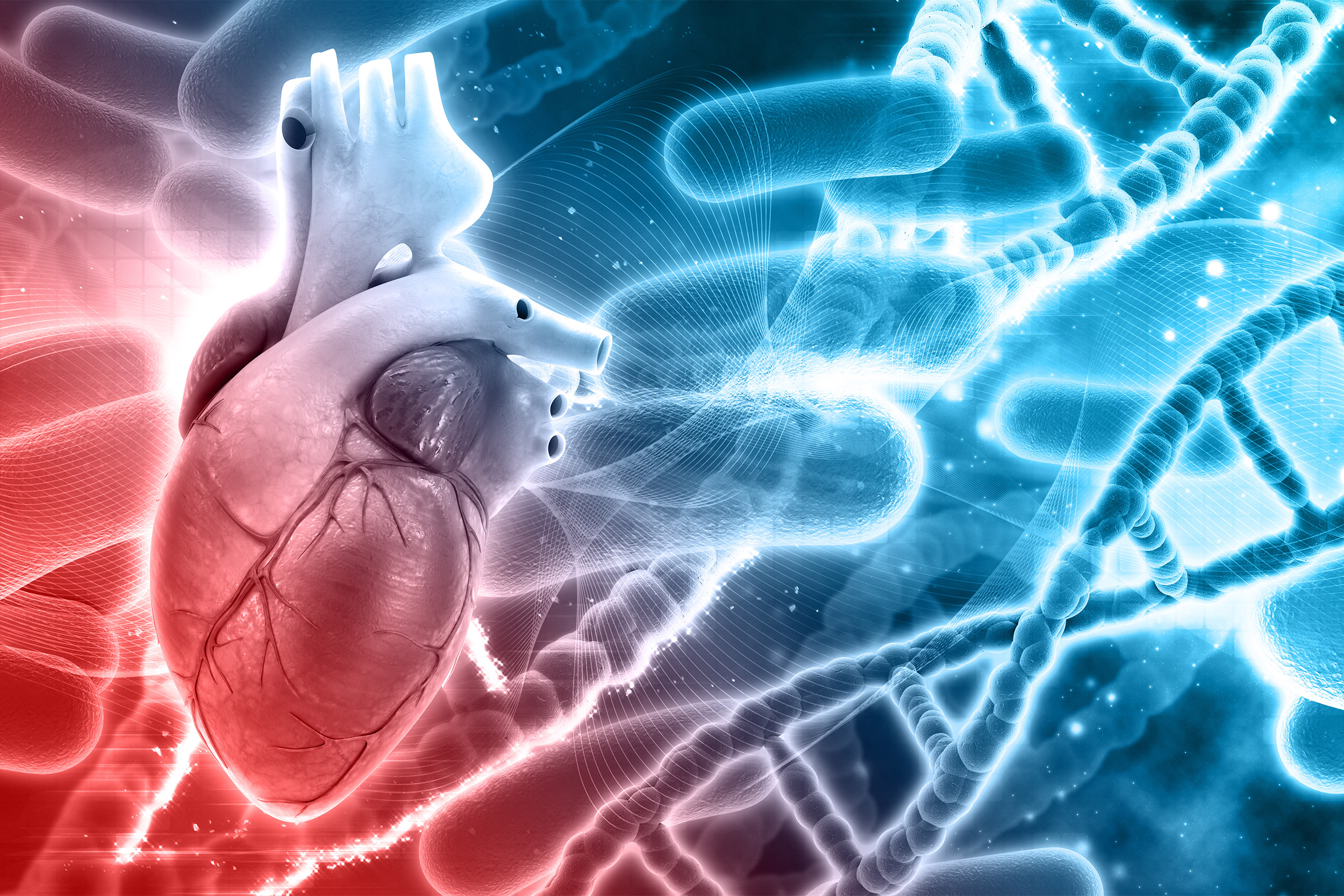 Harvard researchers explore what drives animal infanticide — Harvard ...
