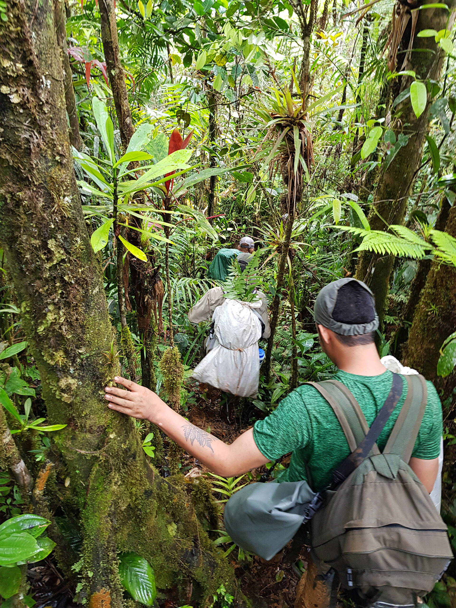 Panama expedition reveals how species persevere under climate change ...