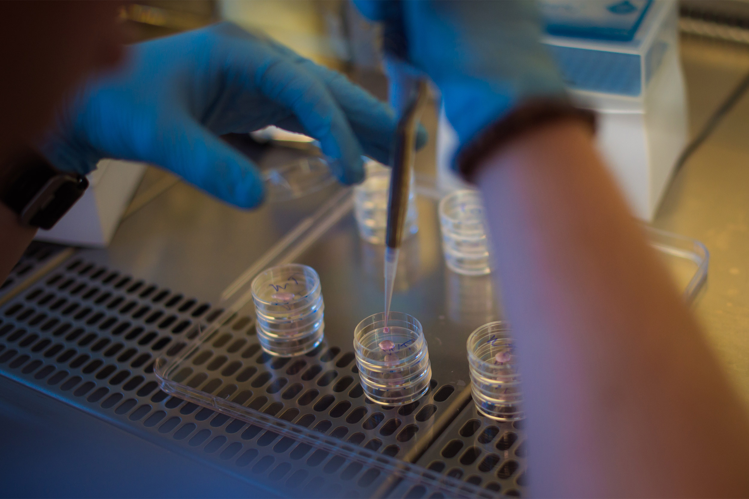 Scientific consortium awards $16.5M to fund projects fighting COVID ...