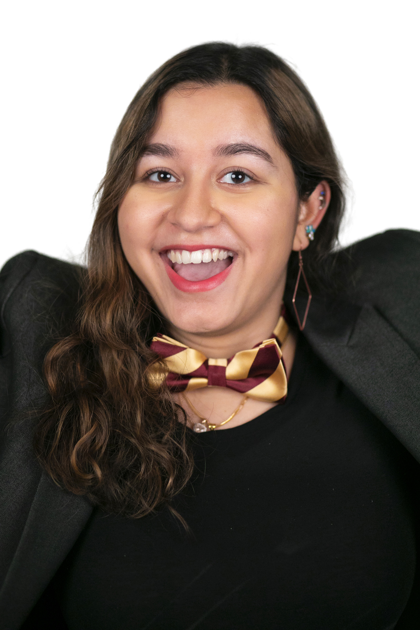 A definitive guide to Harvard's Housing Day mascots — Harvard Gazette