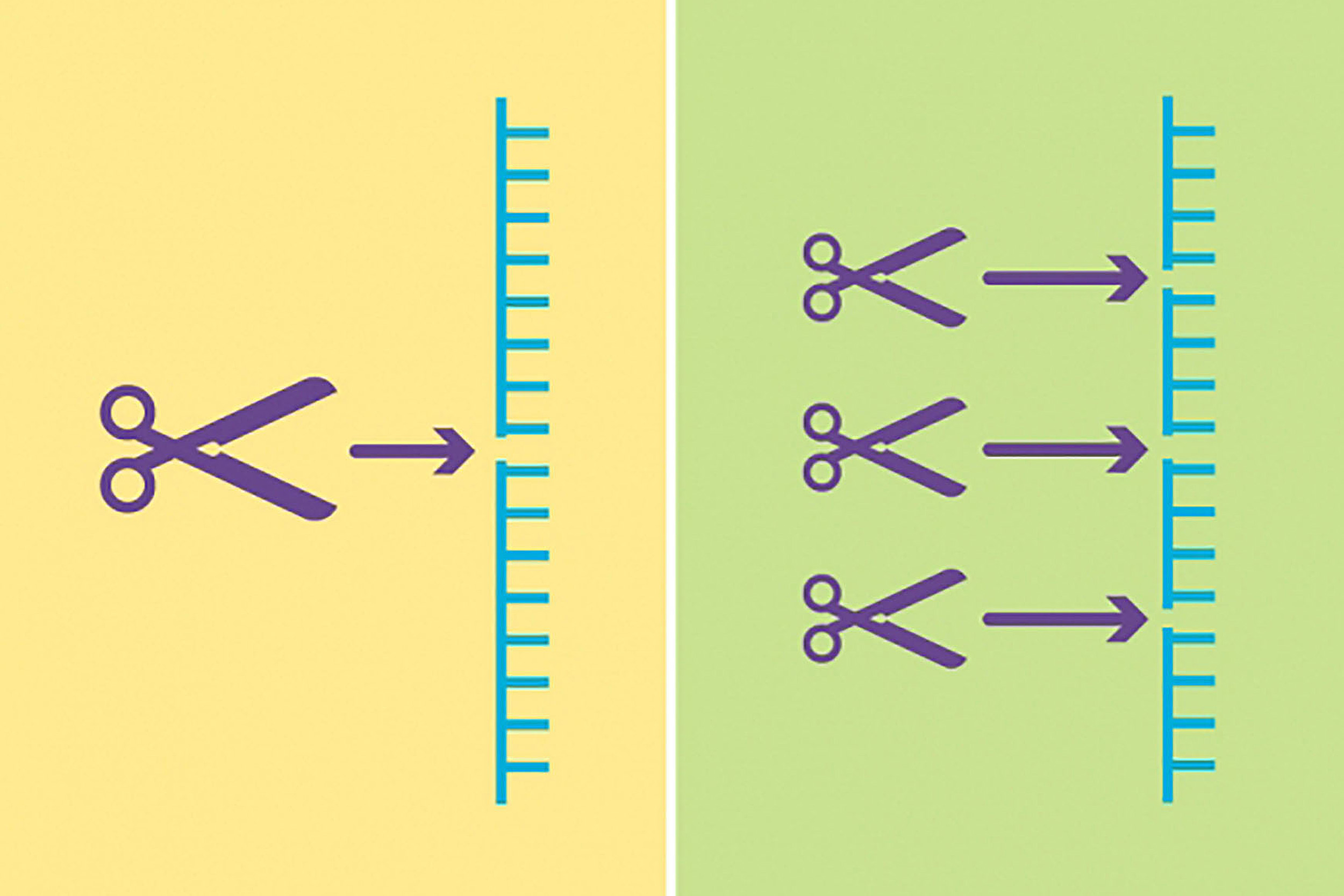 How CRISPR technology is advancing — Harvard Gazette