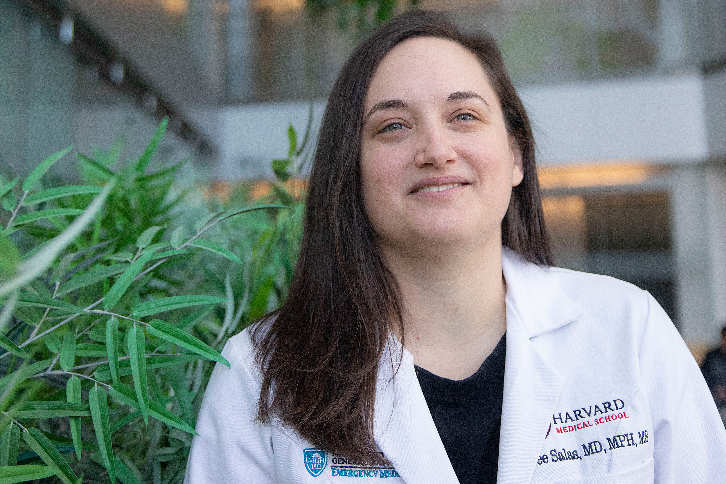 New clues about how and why the Maya culture collapsed — Harvard Gazette