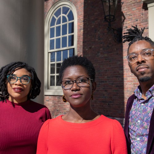 Understanding the IT band – Harvard Gazette