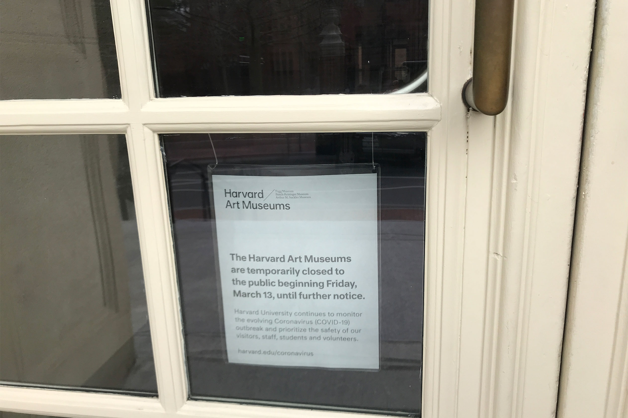 Students go the distance with online Harvard museum tours — Harvard Gazette