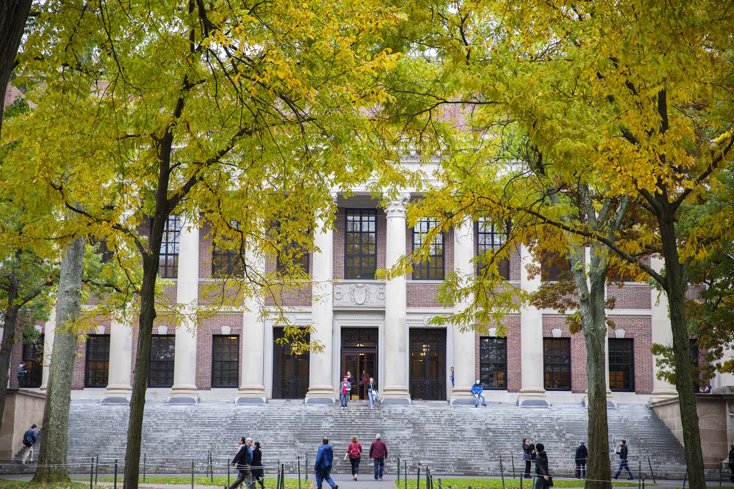 Harvard backgrounds on Zoom brings campus to life — Harvard Gazette