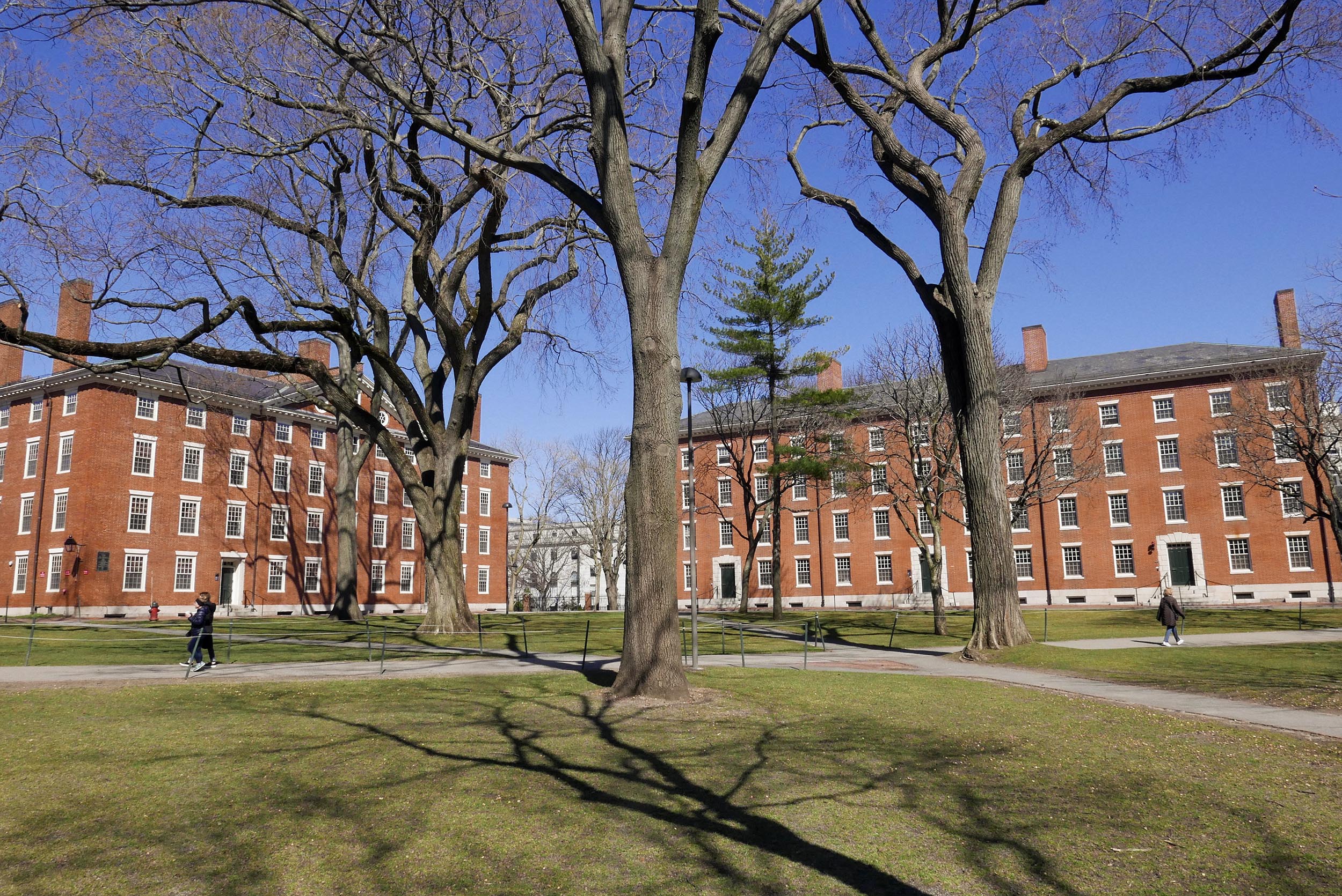 Harvard backgrounds on Zoom brings campus to life — Harvard Gazette