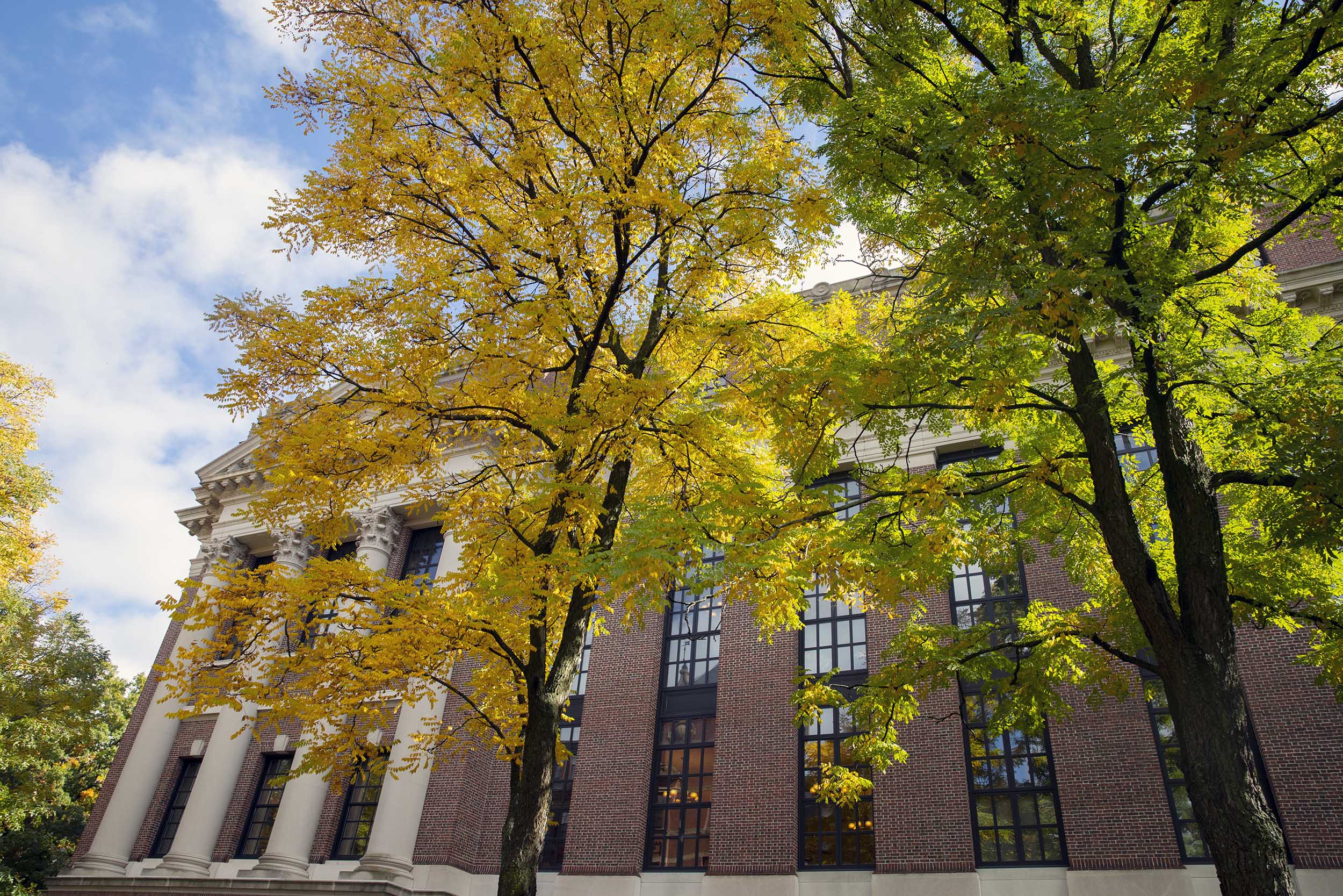 Harvard backgrounds on Zoom brings campus to life — Harvard Gazette