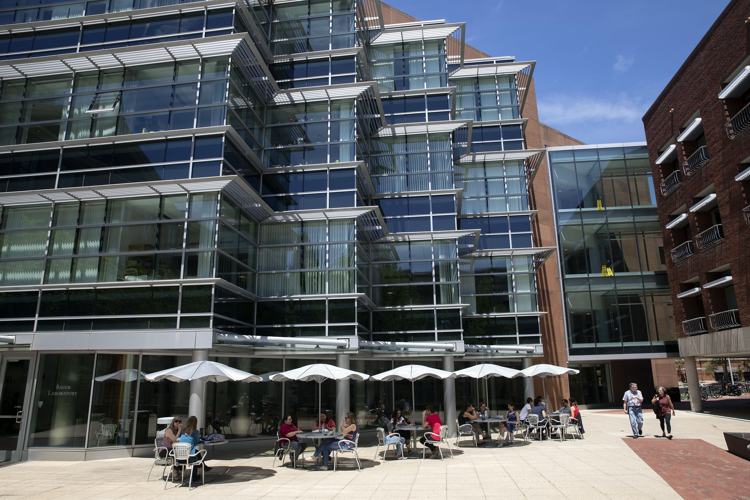 Harvard backgrounds on Zoom brings campus to life — Harvard Gazette