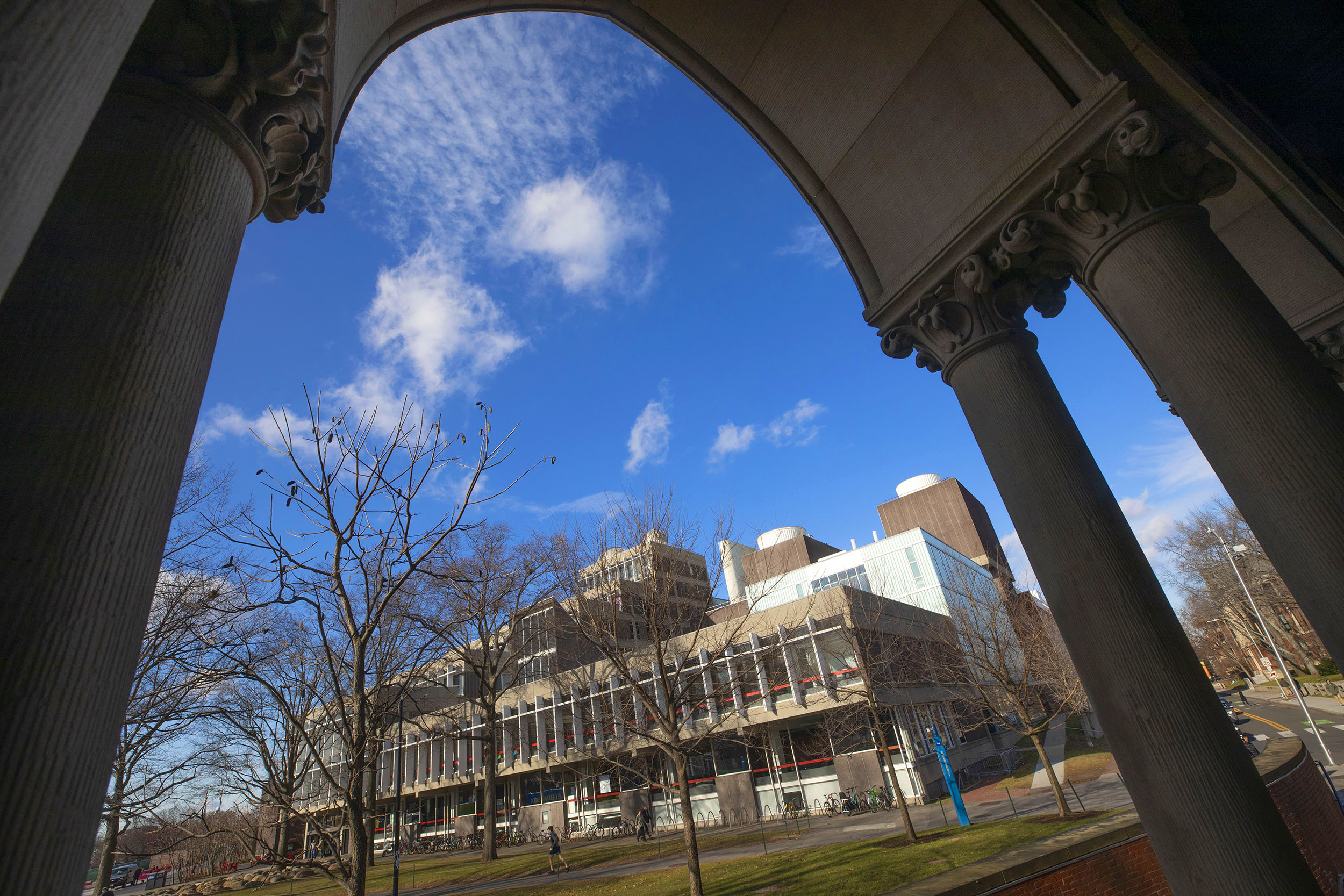 Harvard backgrounds on Zoom brings campus to life — Harvard Gazette
