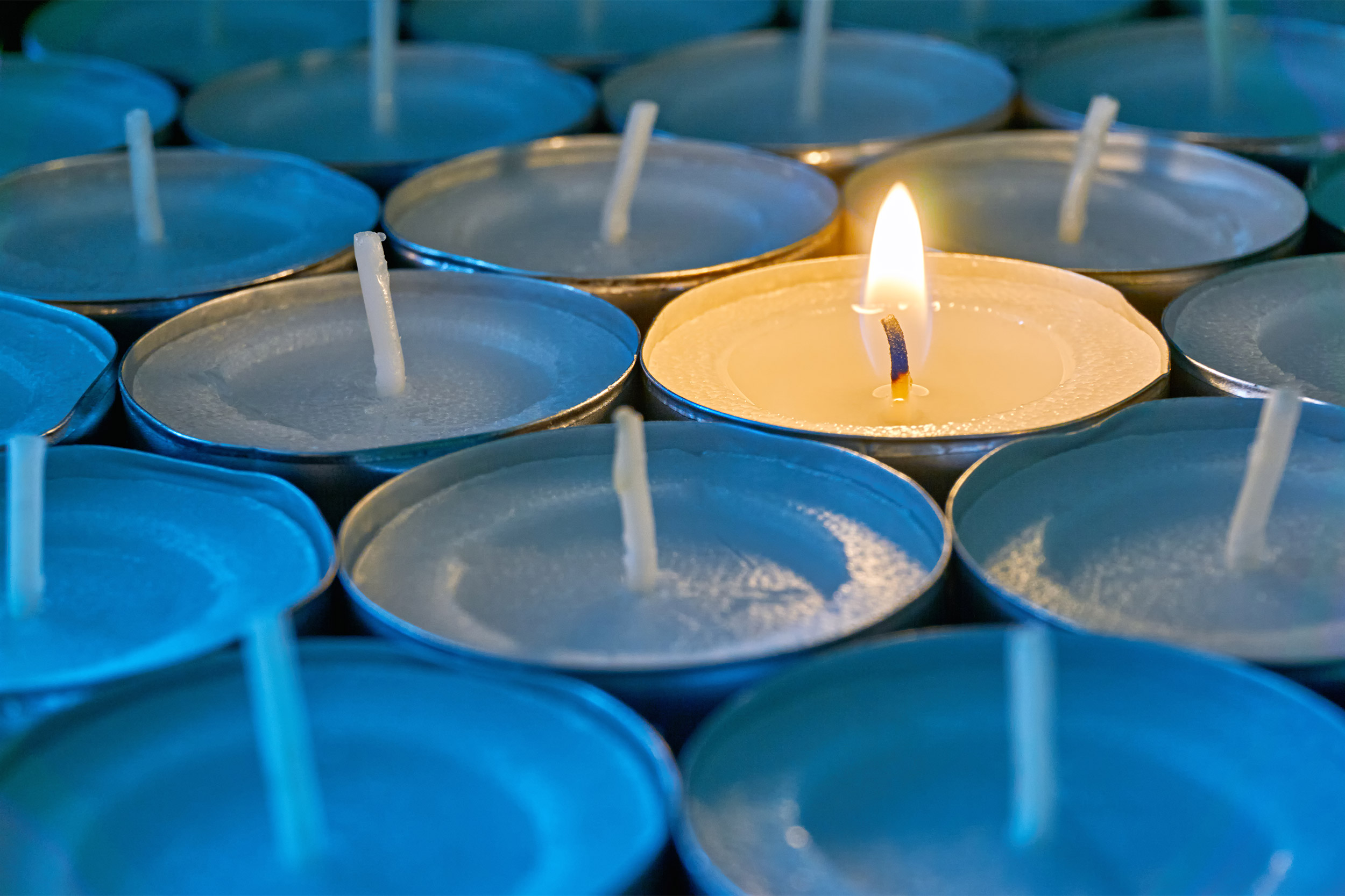 How to keep love alive in the midst of a pandemic — Harvard Gazette