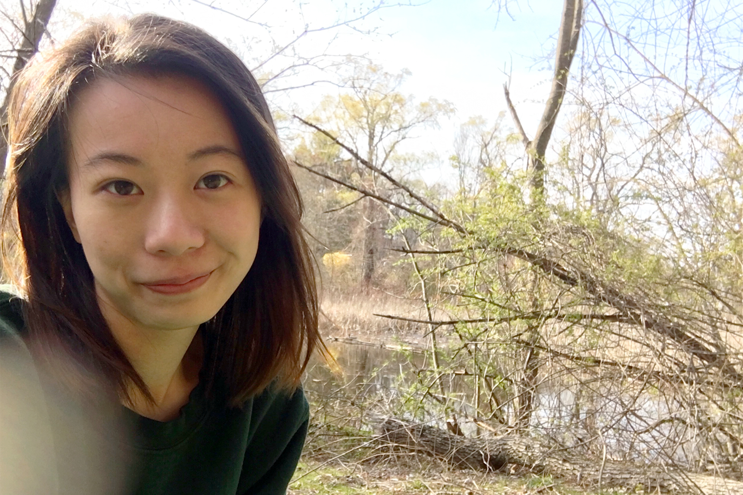 Students bring it home in ‘Postcards From Here’ — Harvard Gazette