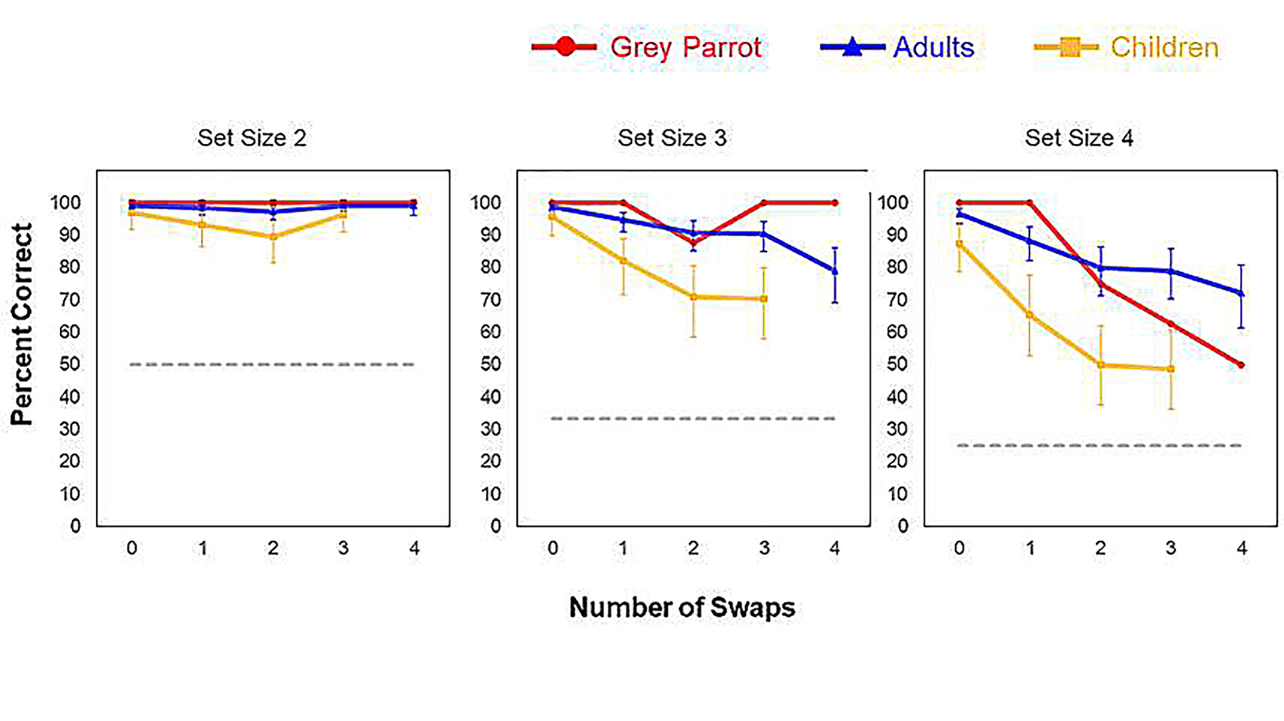 African grey parrot outperforms children and college students — Harvard ...