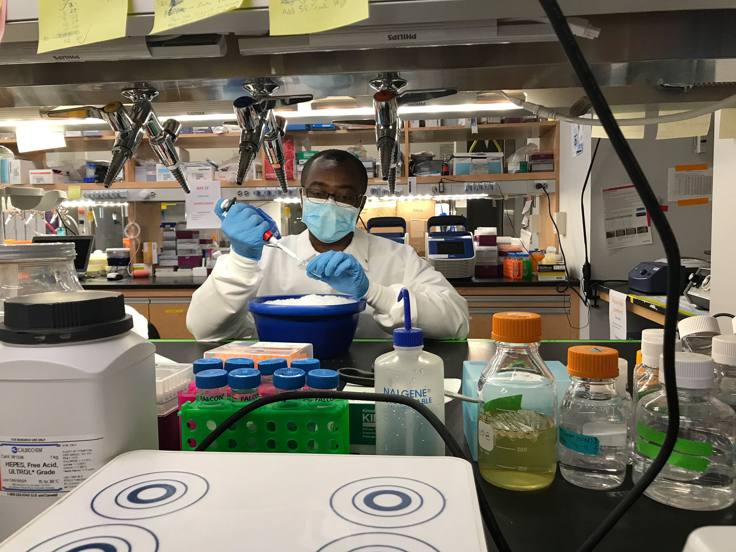 The labs of today – and maybe of tomorrow — Harvard Gazette