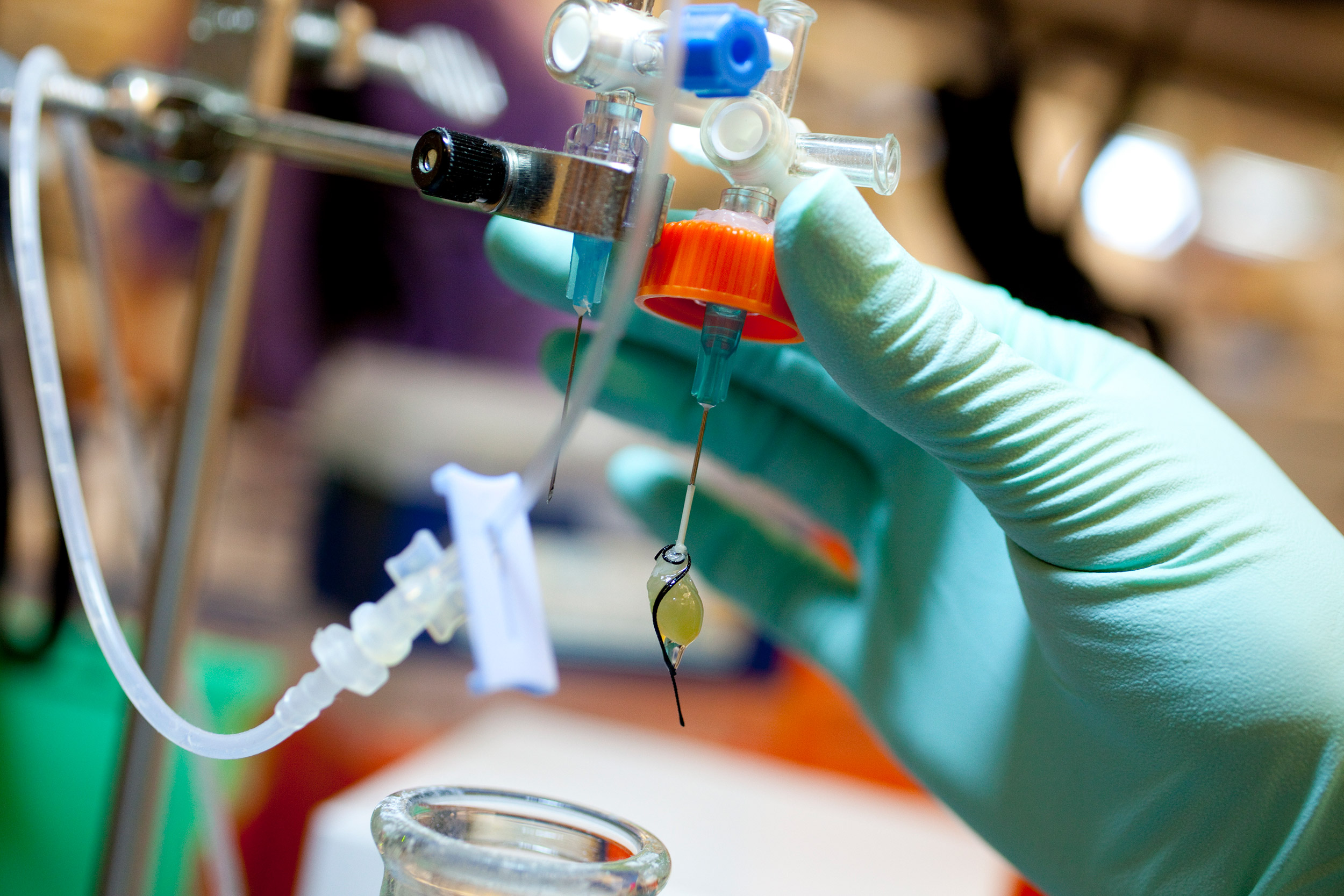 Star-Friedman Challenge offers support for high-impact research ...