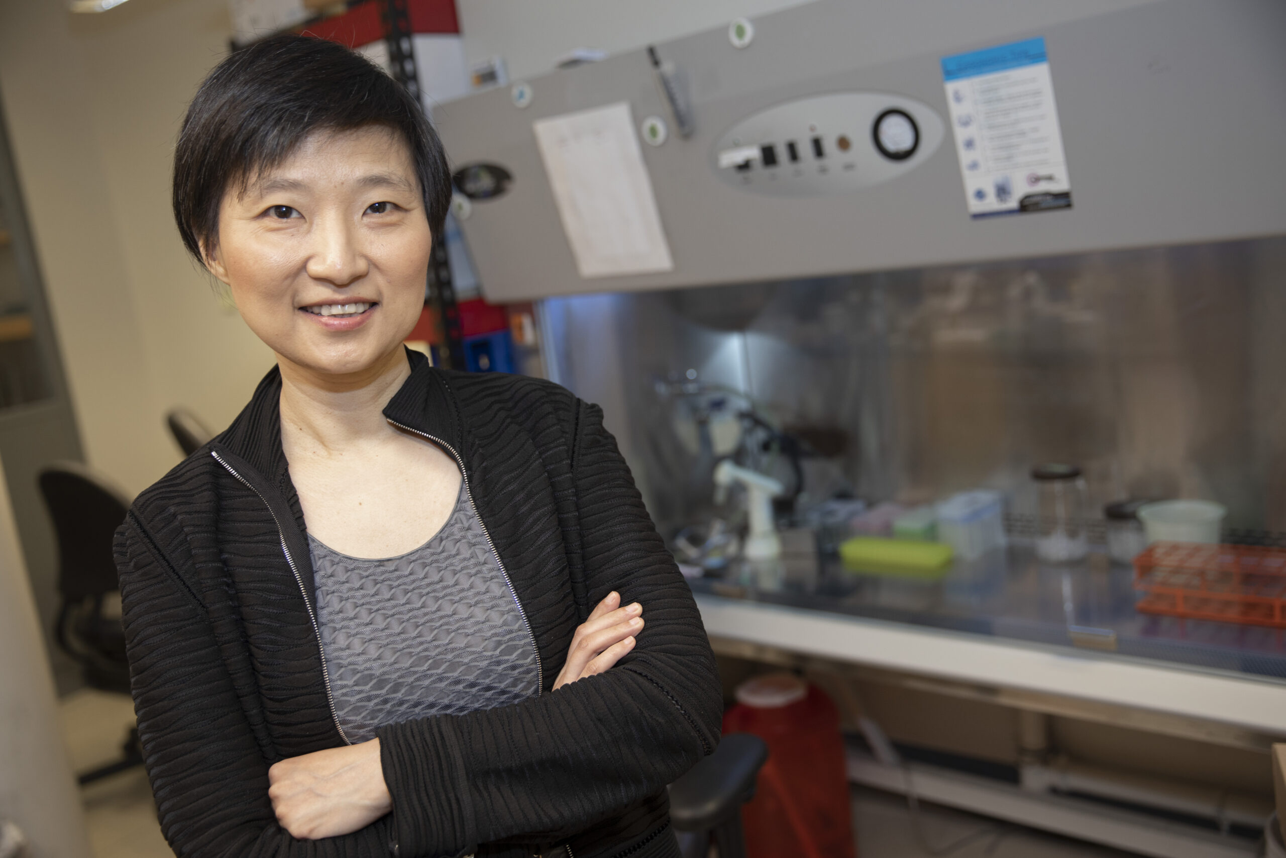 Xiaowei Zhuang wins 2022 Heinrich Wieland Prize — Harvard Gazette