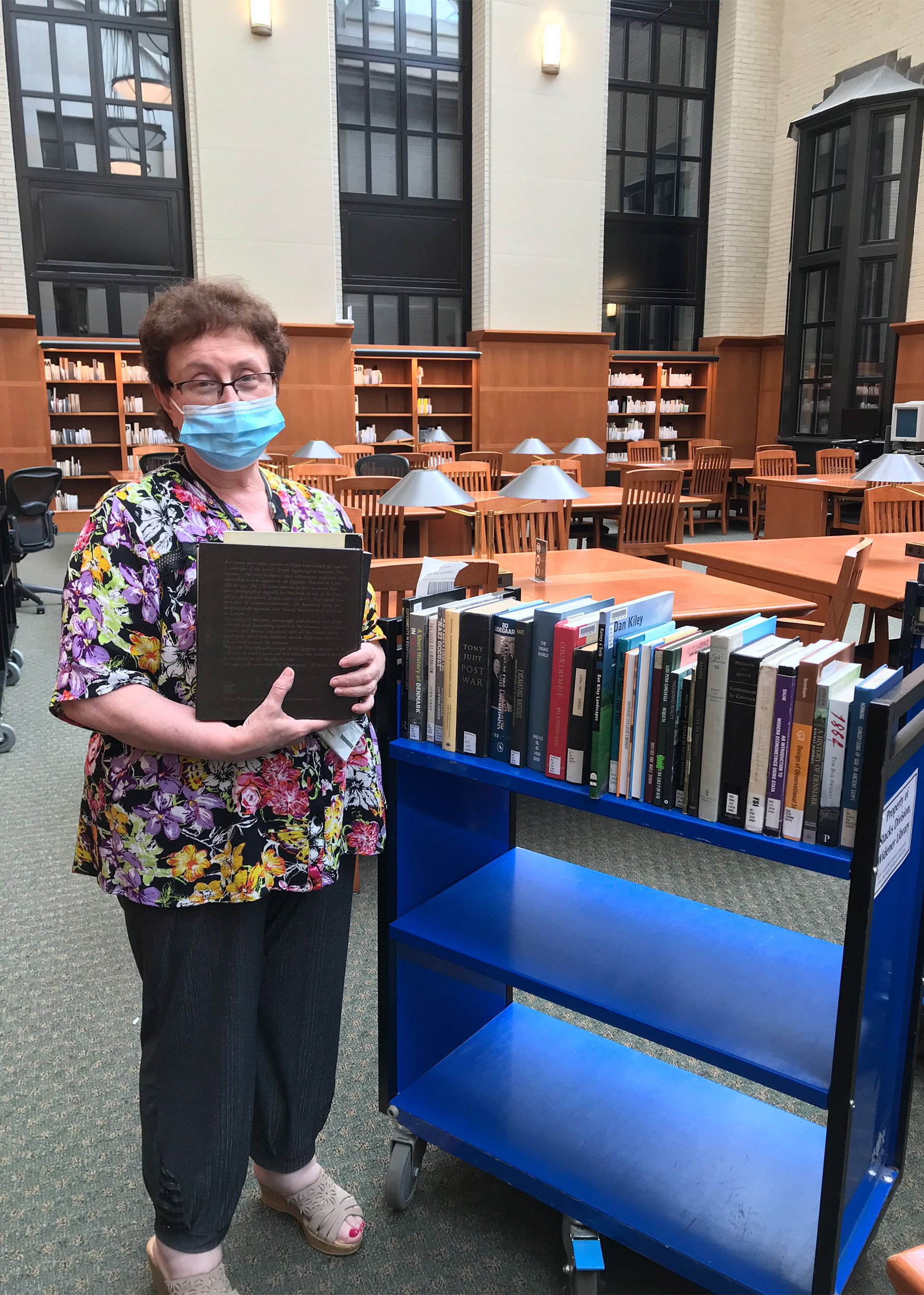 Harvard libraries hit the books again — Harvard Gazette