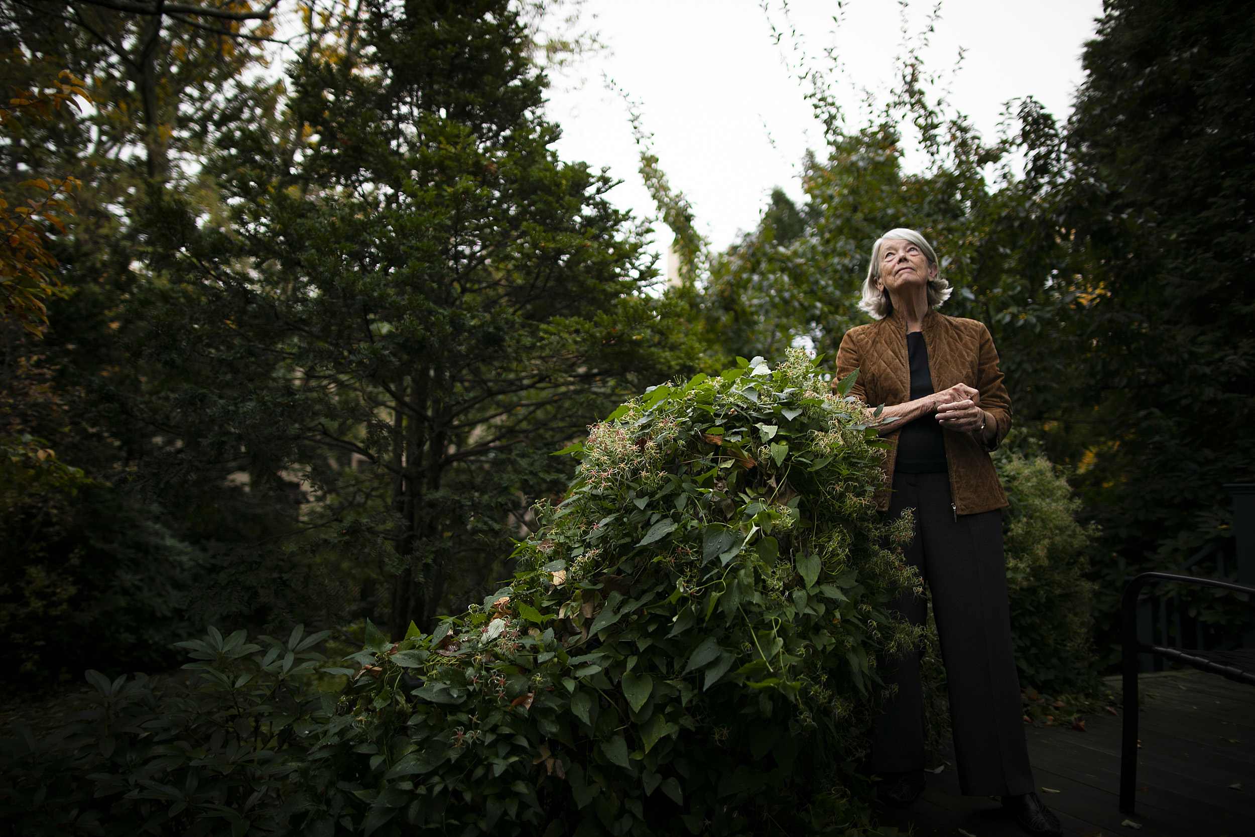 The evolution of political scientist Jane Mansbridge’s life and career ...