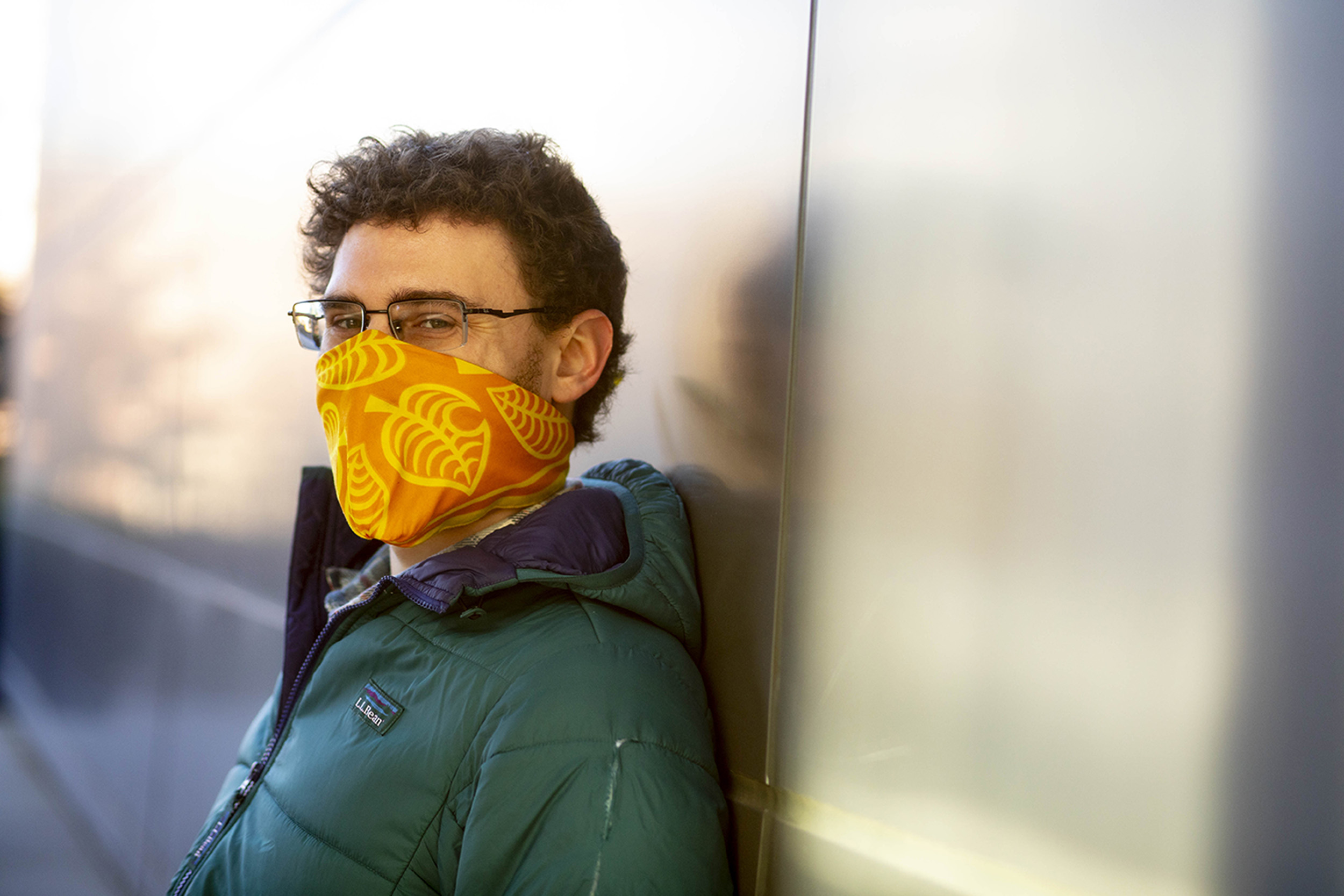 Understanding how evolution shaped the insect visual system — Harvard ...