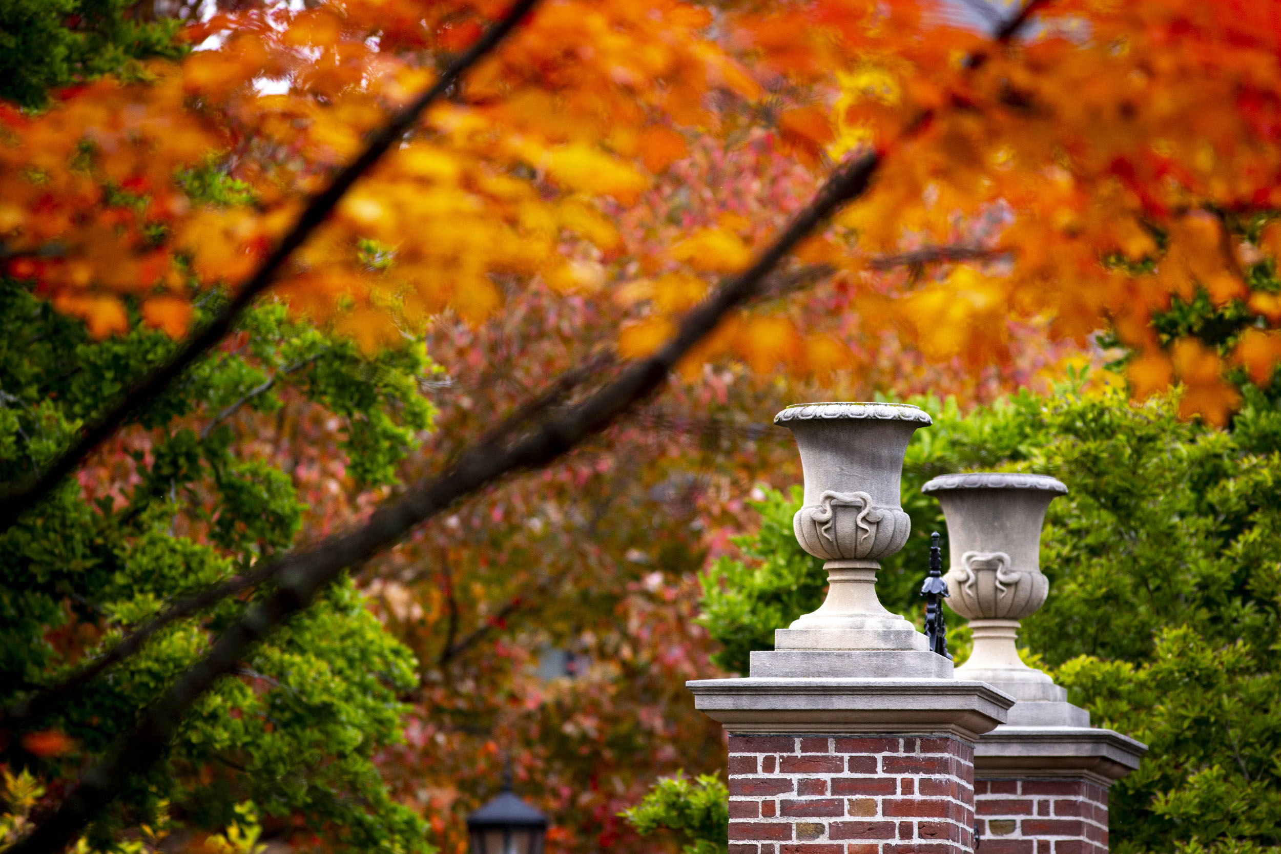 Capturing autumn’s beauty on Harvard’s historic campus — Harvard Gazette