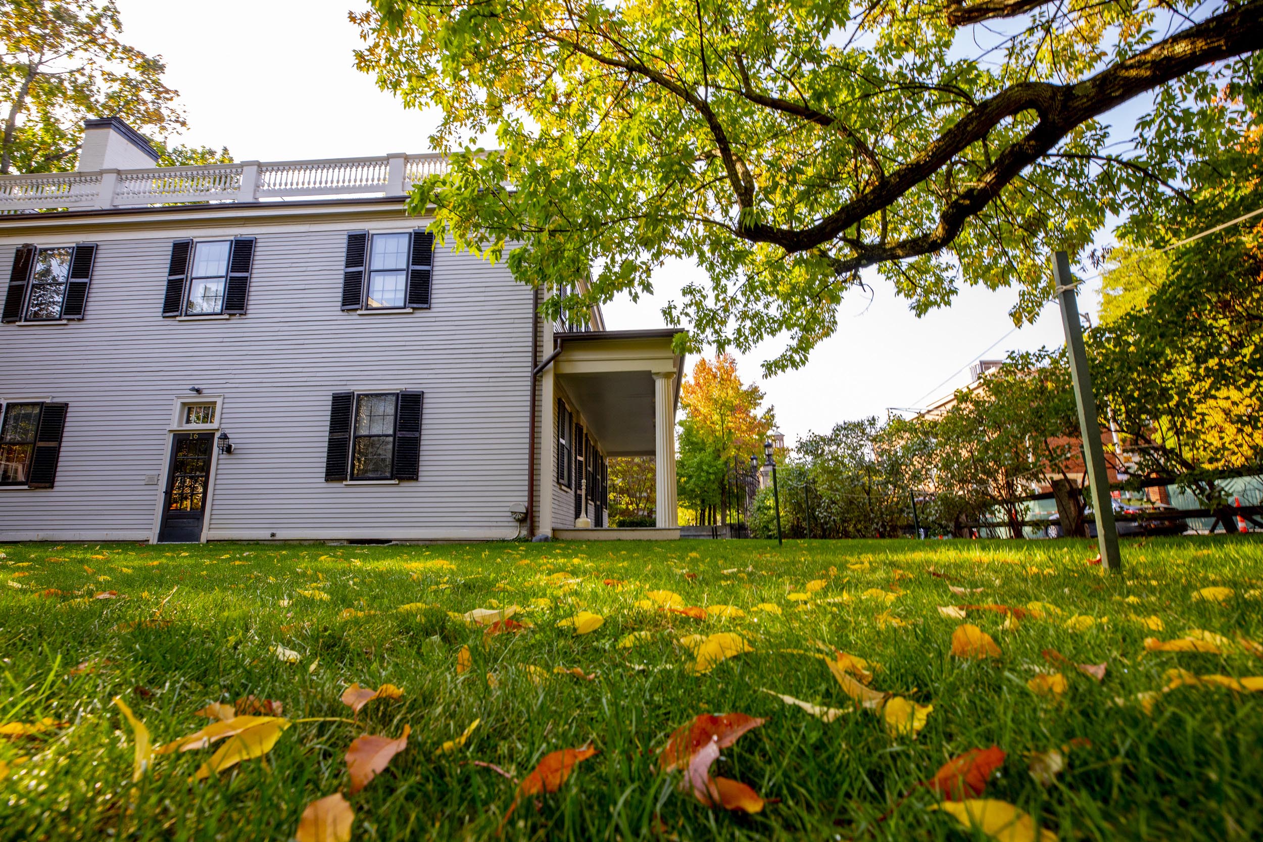 Capturing autumn’s beauty on Harvard’s historic campus — Harvard Gazette