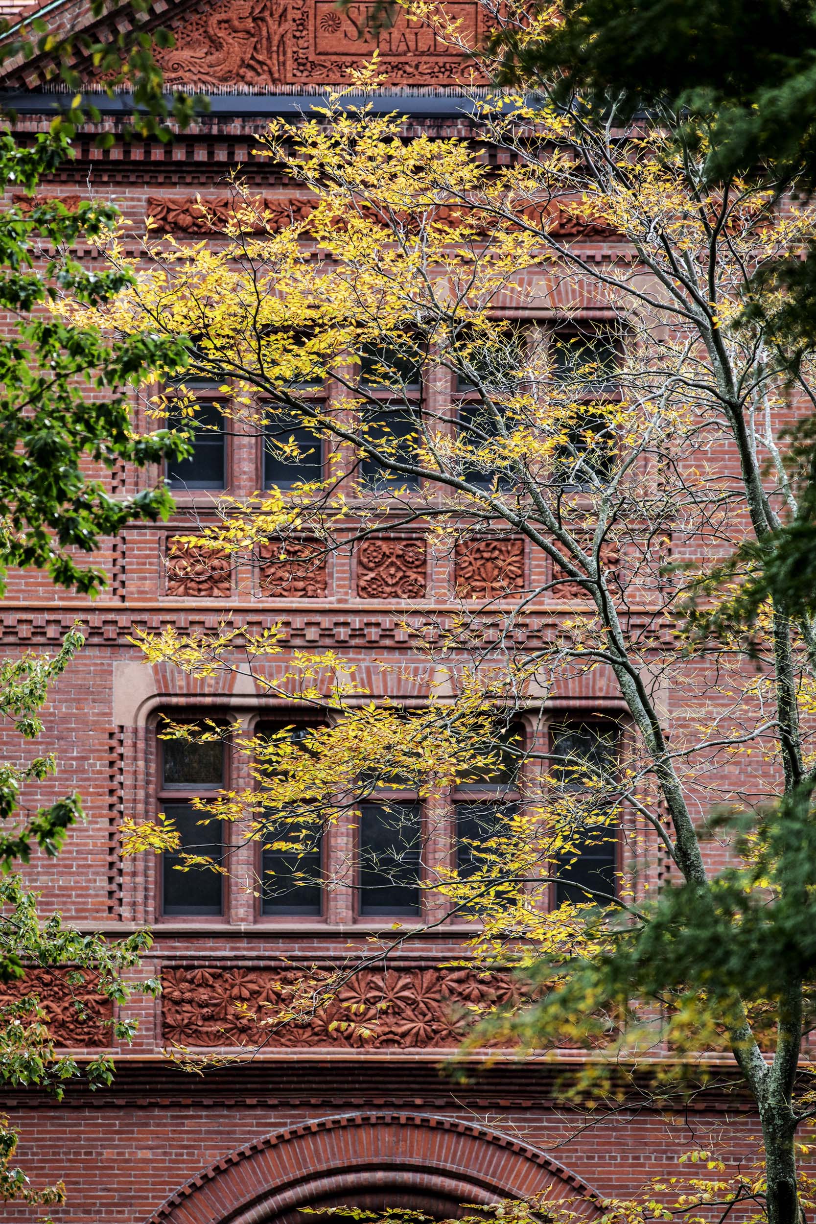 Capturing autumn’s beauty on Harvard’s historic campus — Harvard Gazette