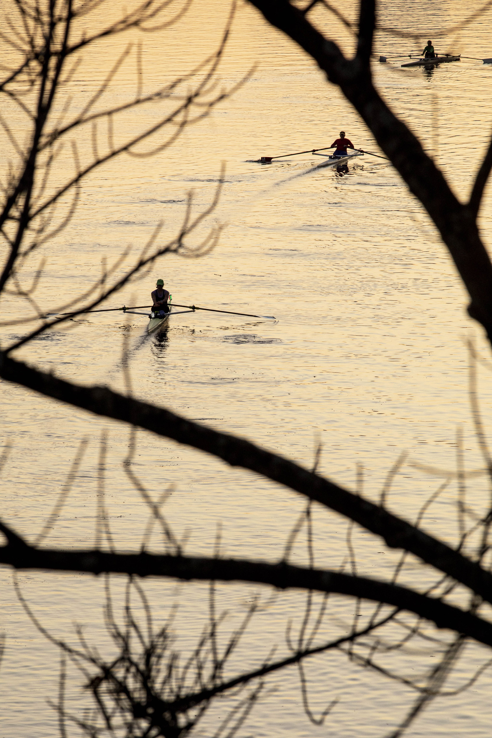 A day along the Charles River — Harvard Gazette