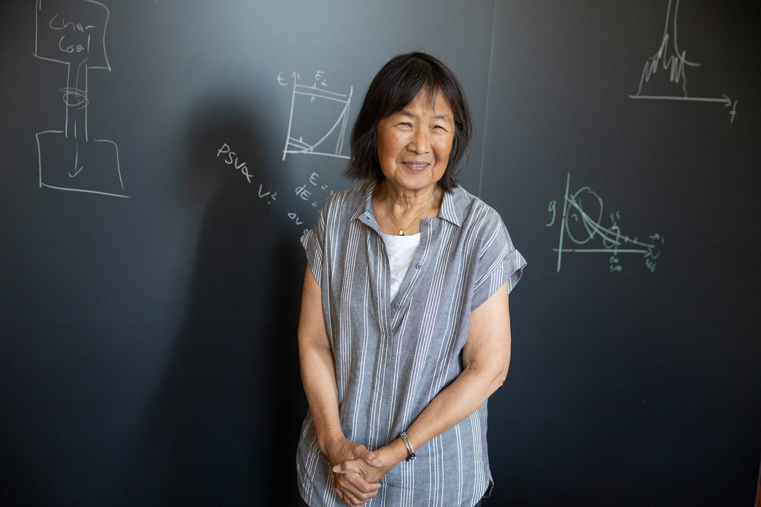 Harvard faculty look back on 2020 — Harvard Gazette