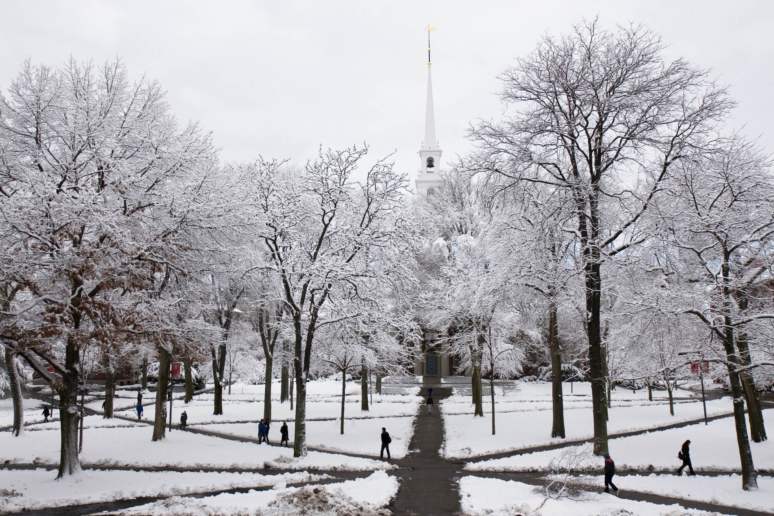 Snowy campus scenes are frozen in time — Harvard Gazette