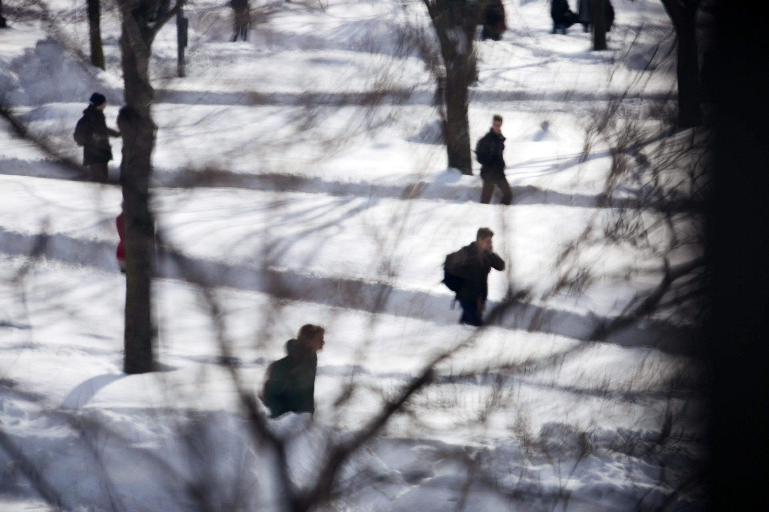 Snowy campus scenes are frozen in time — Harvard Gazette