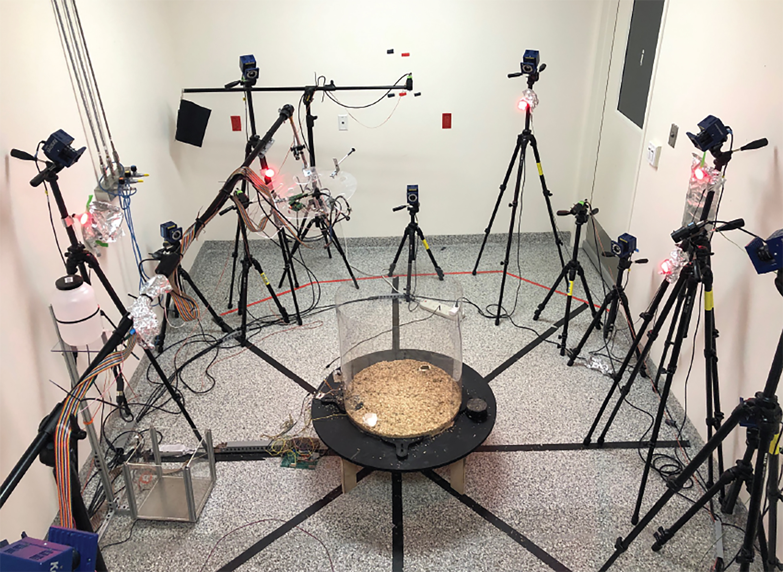 Tech breakthrough combines motion capture and neural learning — Harvard ...