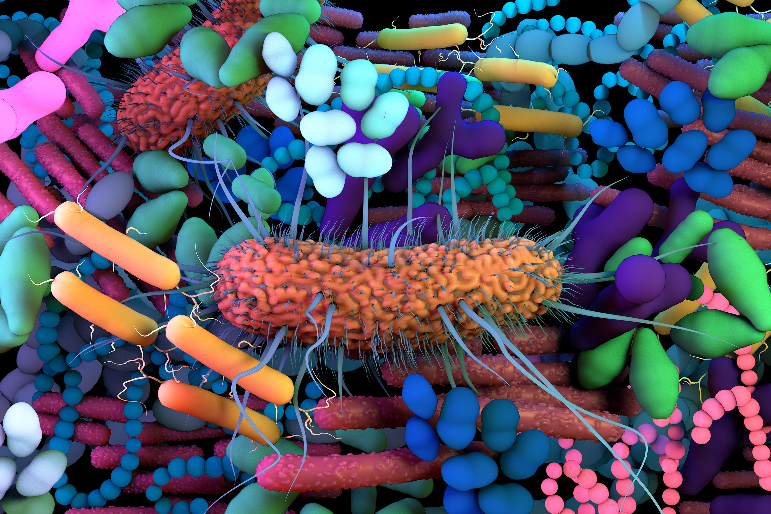Harvard researchers analyze bacteria in the human mouth — Harvard Gazette