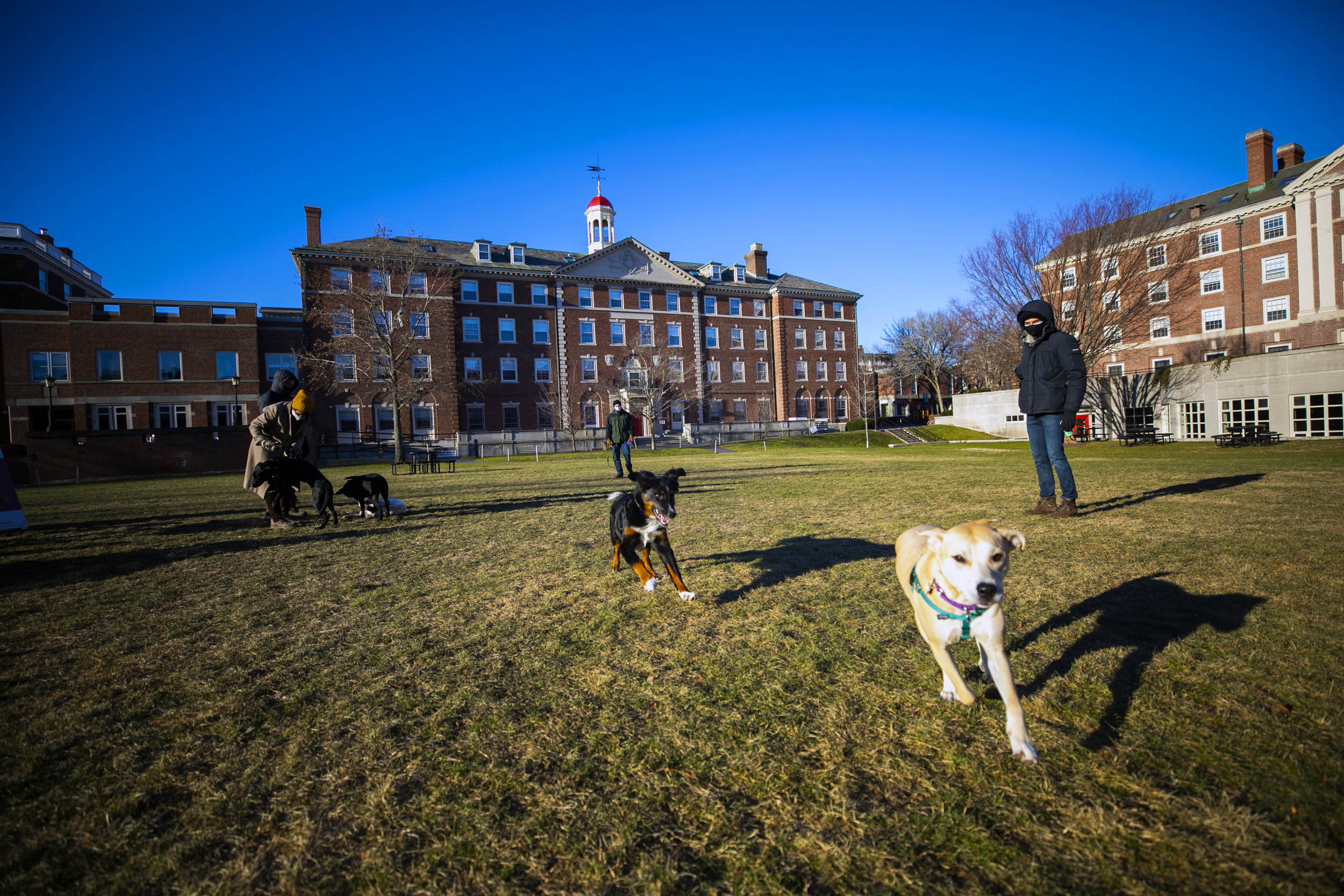 An introduction to the Houses first-years will call home — Harvard Gazette