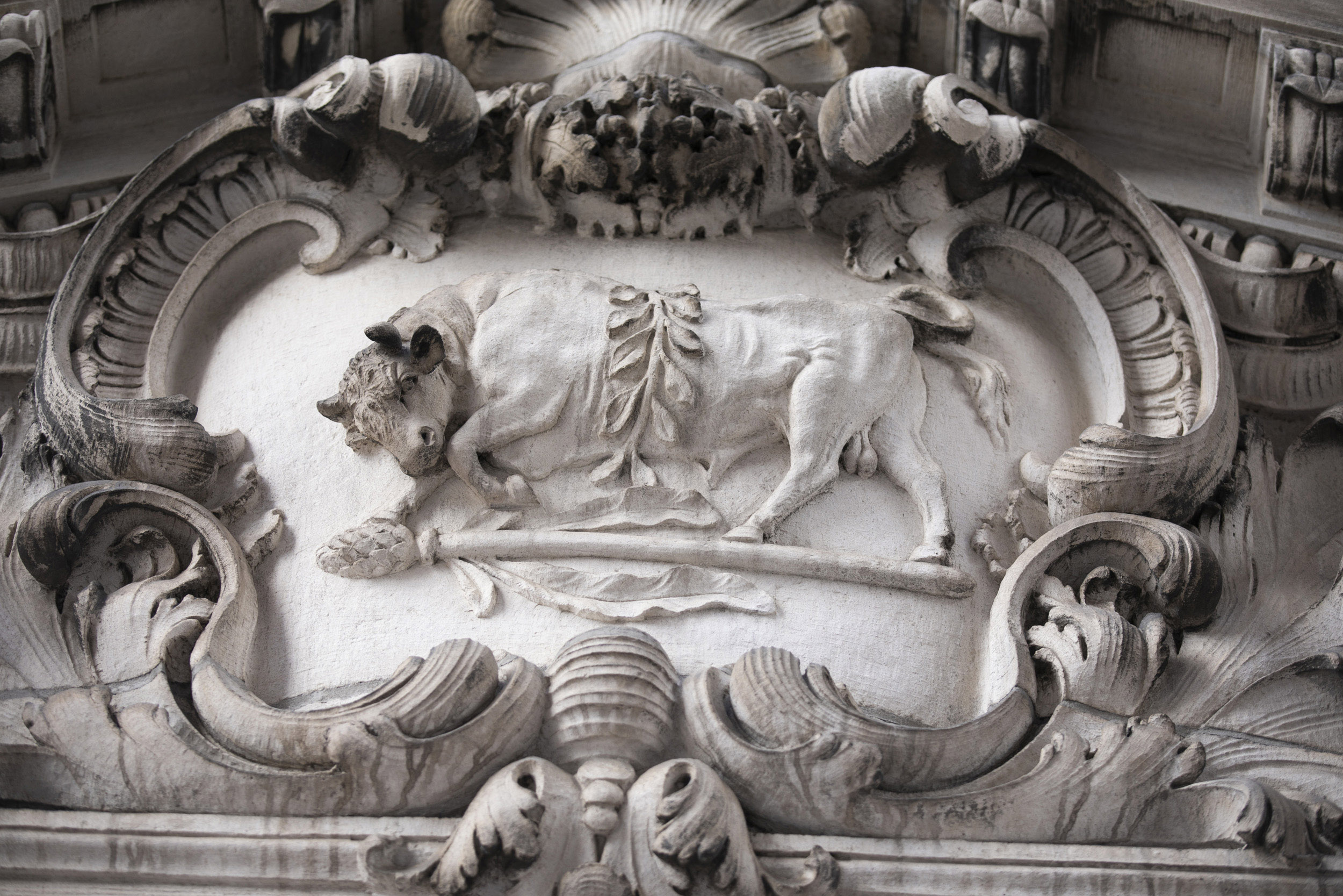 A closer look at Harvard’s creatures on campus — Harvard Gazette