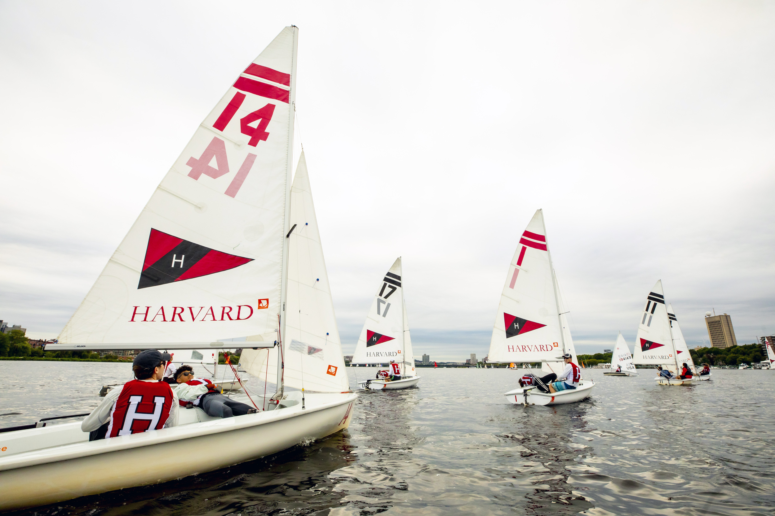 Back on the Charles: Photos from Harvard sailing practice — Harvard Gazette