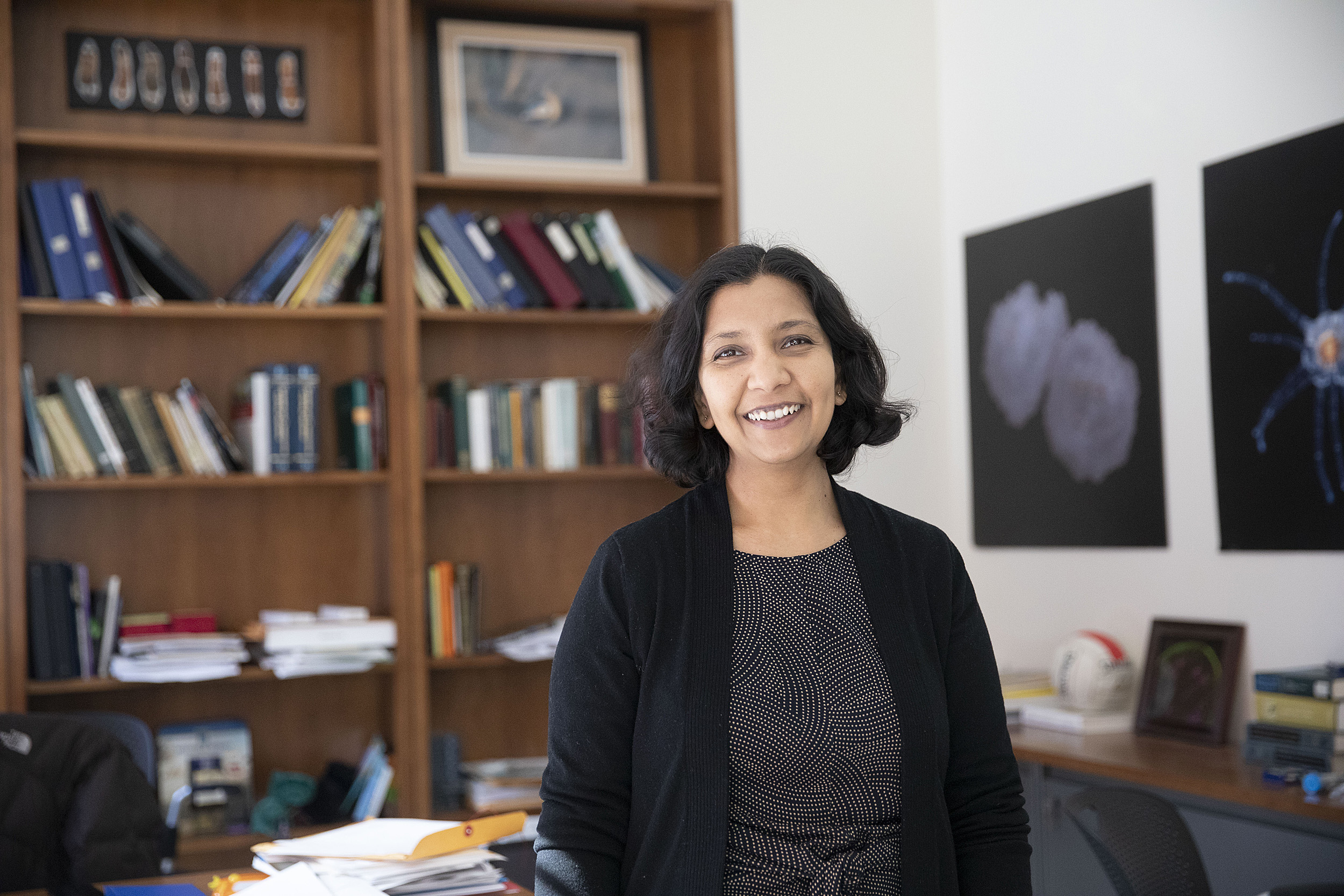 Harvard scientists show transgenesis in three-banded panther worm ...