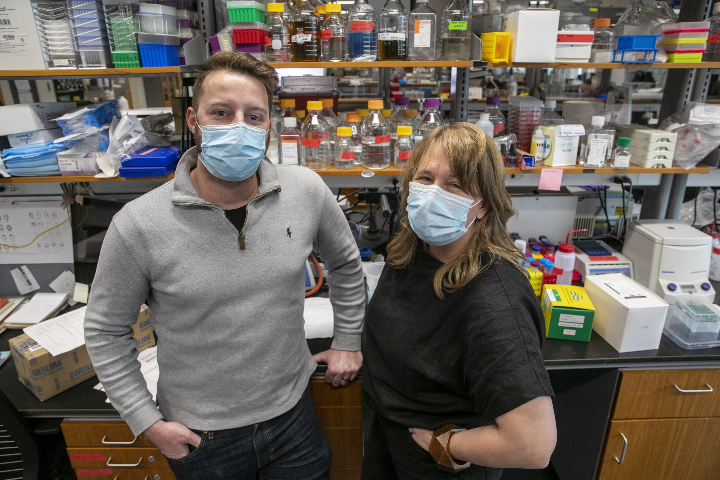 Understanding how squid eyes are made — Harvard Gazette