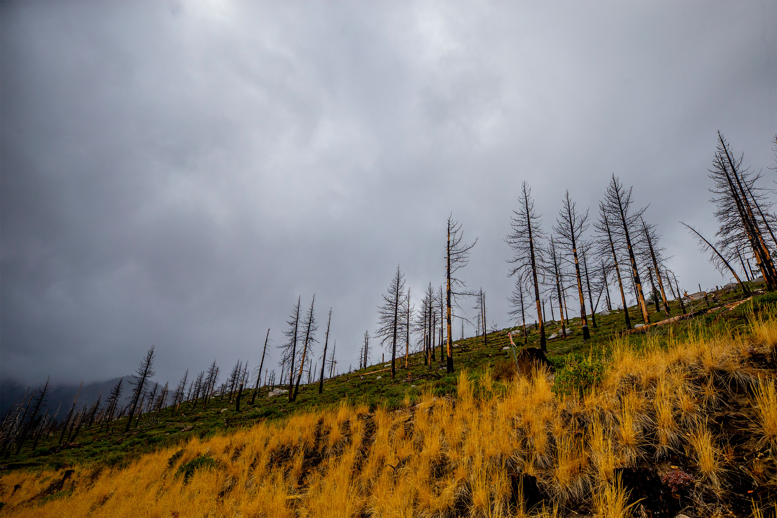 A global beacon on climate change — Harvard Gazette