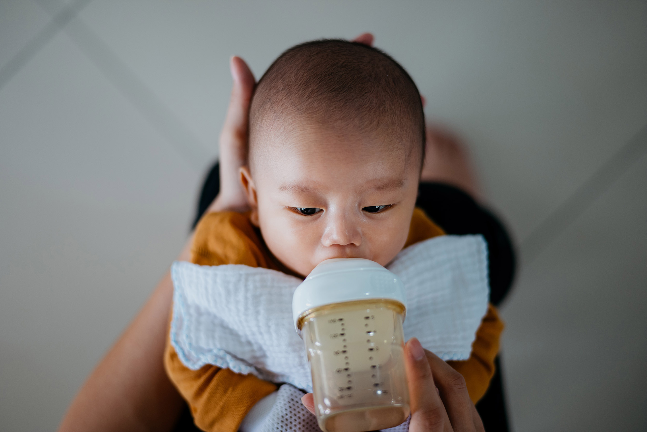 Maternal milk tied to better outcomes for preemies — Harvard Gazette