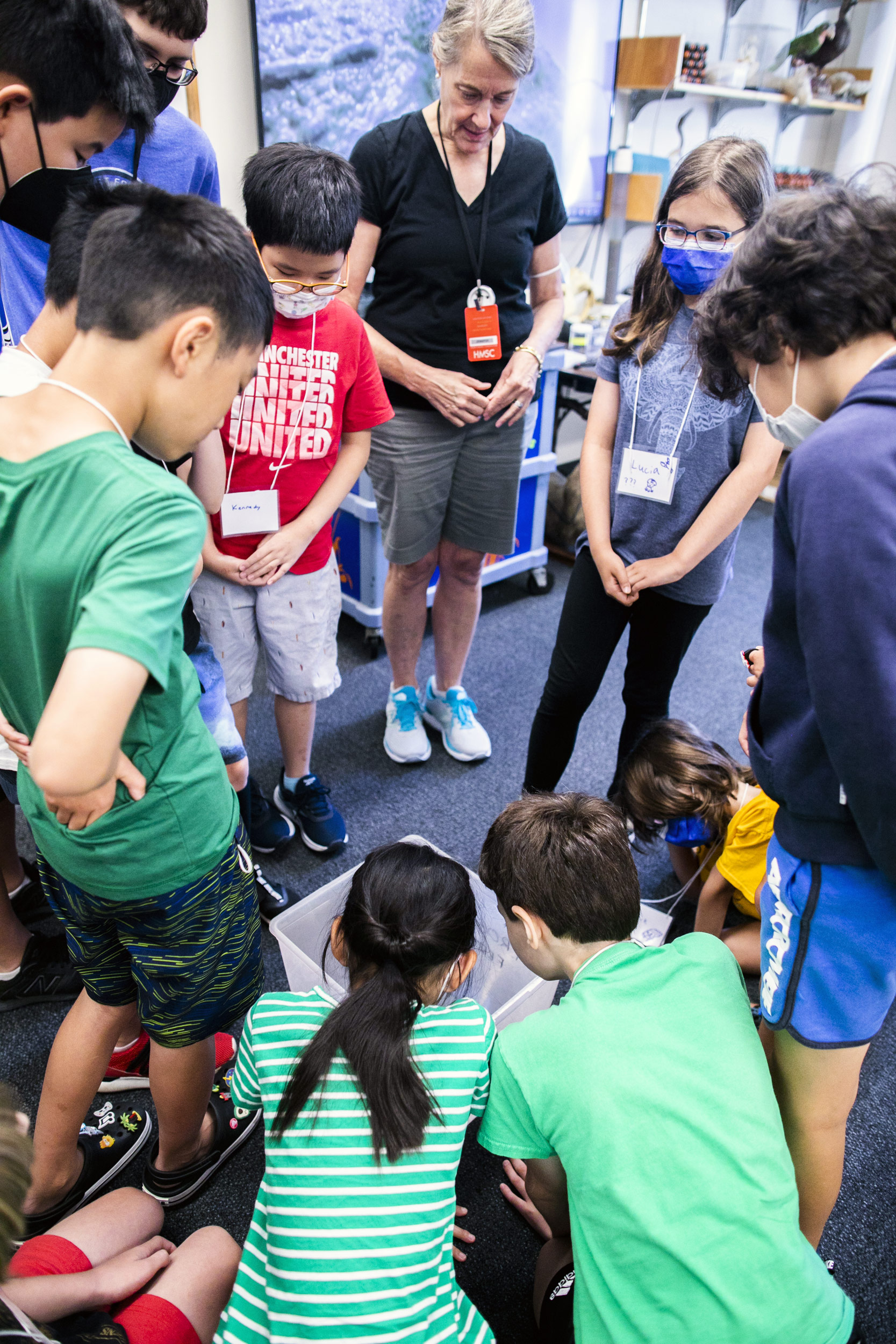 Kids learn by having fun in Harvard summer program — Harvard Gazette