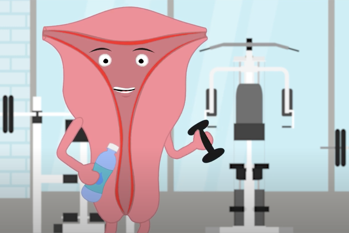 Menstruation animation helps shed light on a touchy topic — Harvard Gazette