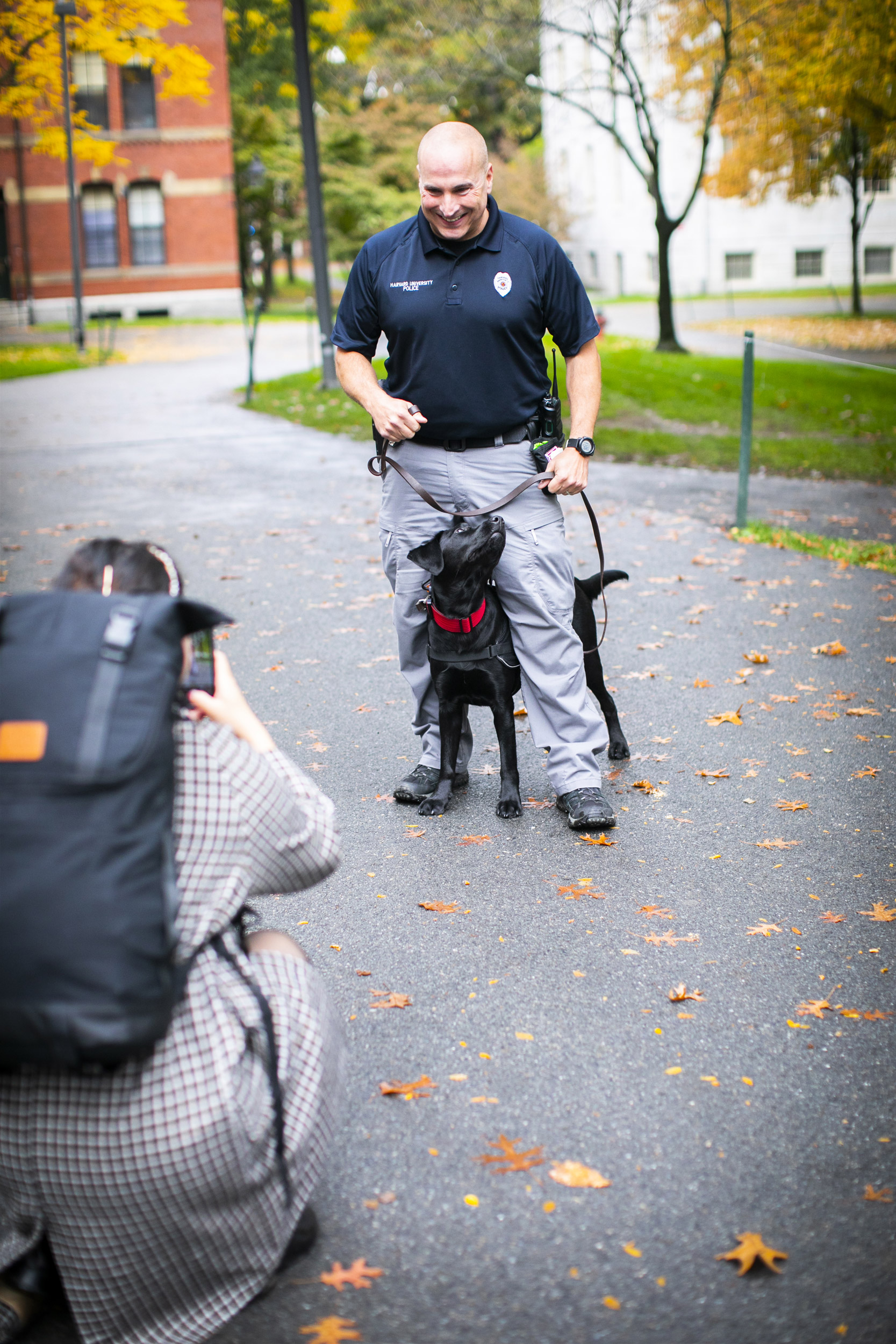 Harvard police dog patrols for smiles — Harvard Gazette