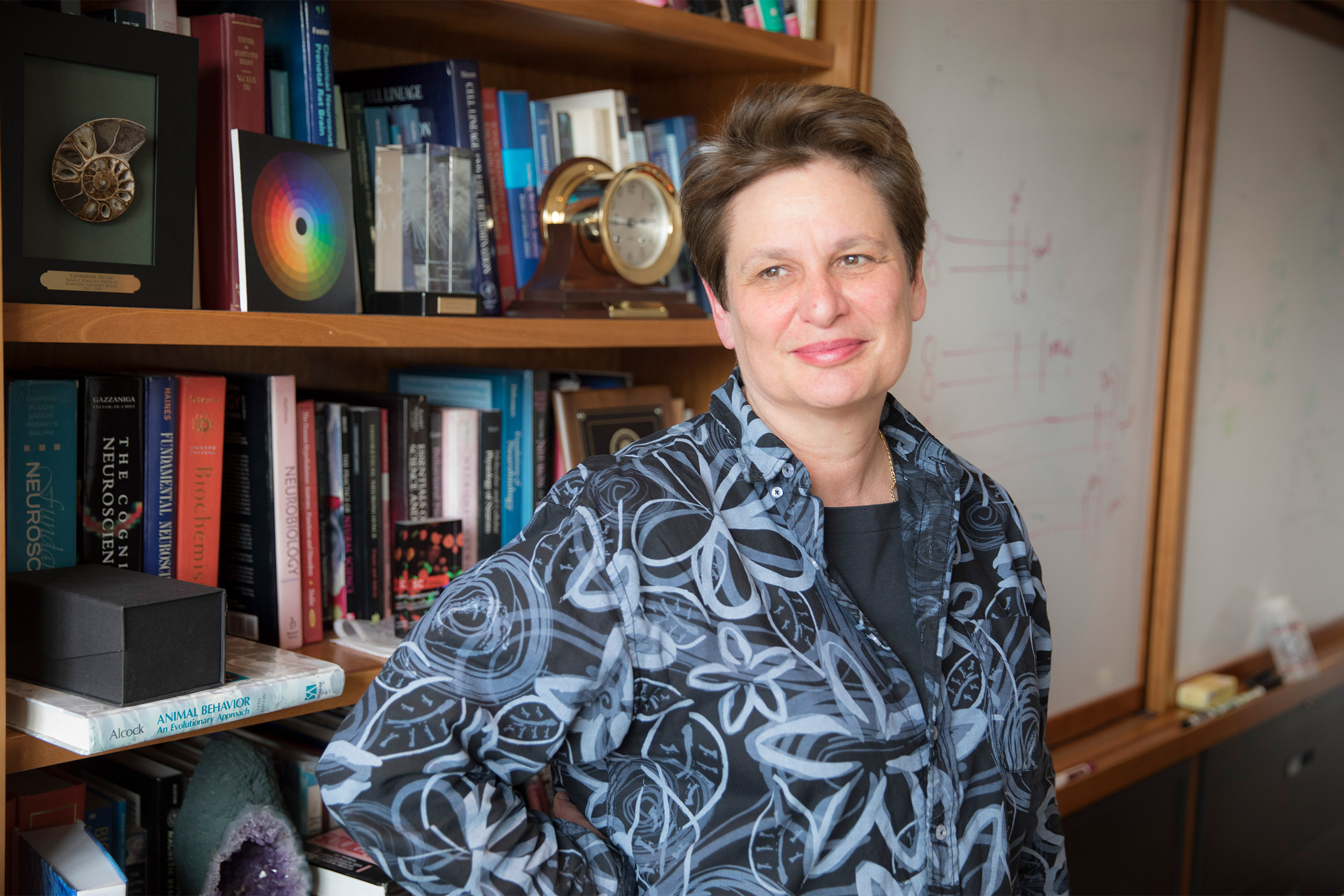 Harvard names three new University Professors — Harvard Gazette