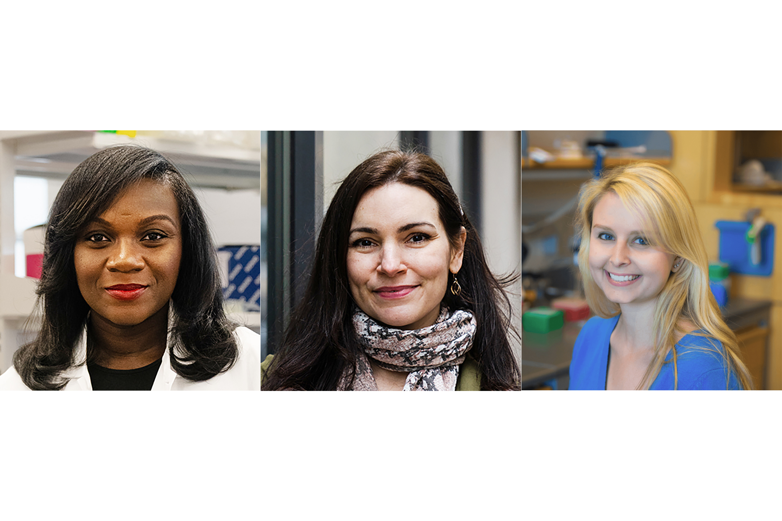 Three Harvard faculty among 31 inaugural Freeman Hrabowski Scholars ...