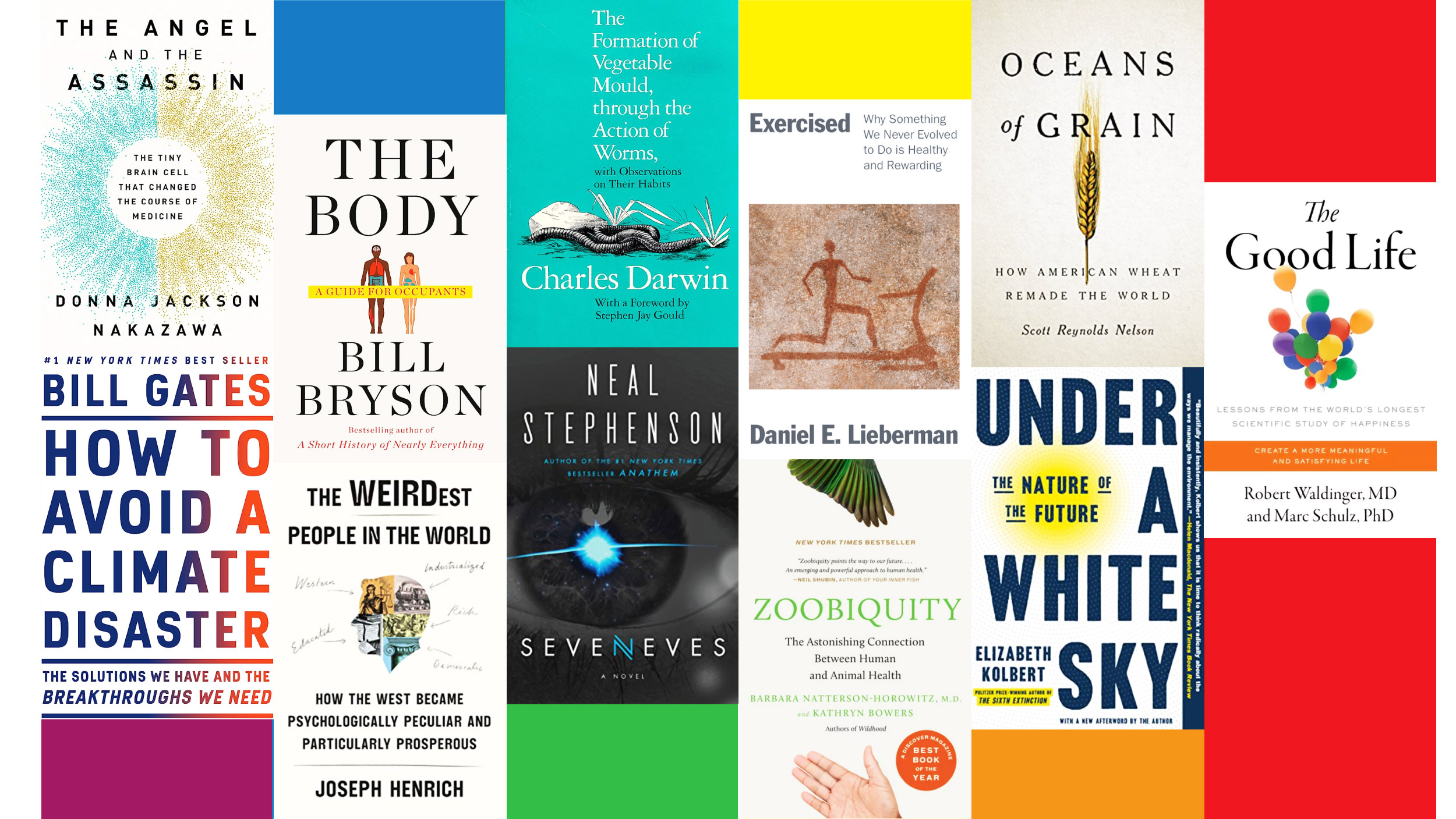Faculty offer up favorite books for the armchair traveler — Harvard Gazette