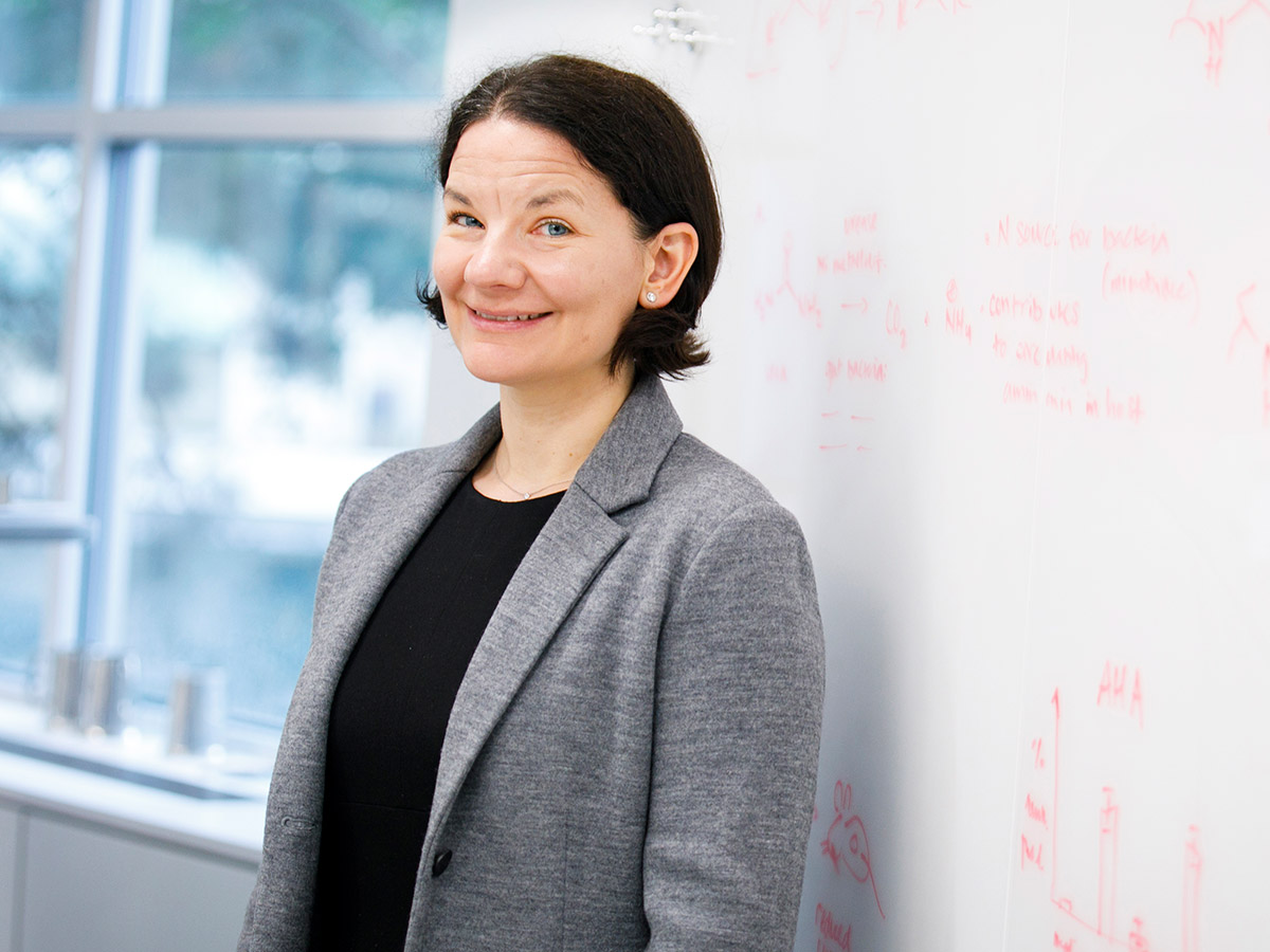 Vaginal bacteria must eat to survive — but how? — Harvard Gazette