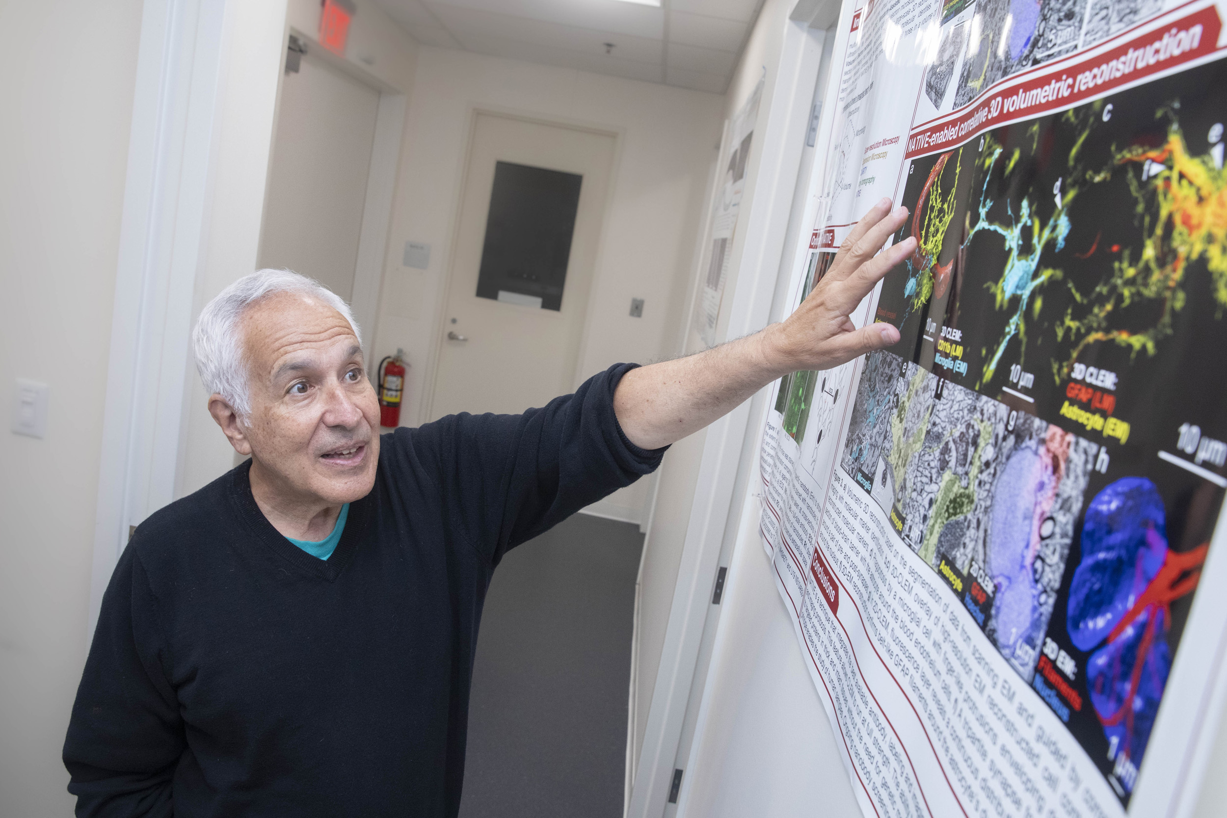 Human brain too big to map so they’re starting with mice — Harvard Gazette