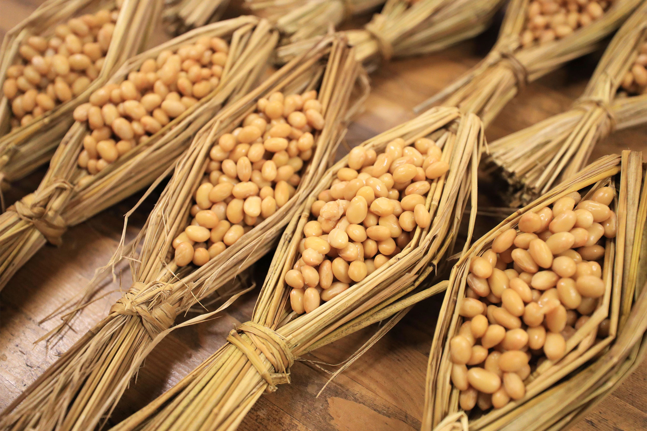 Study links fermented foods with brain growth — Harvard Gazette