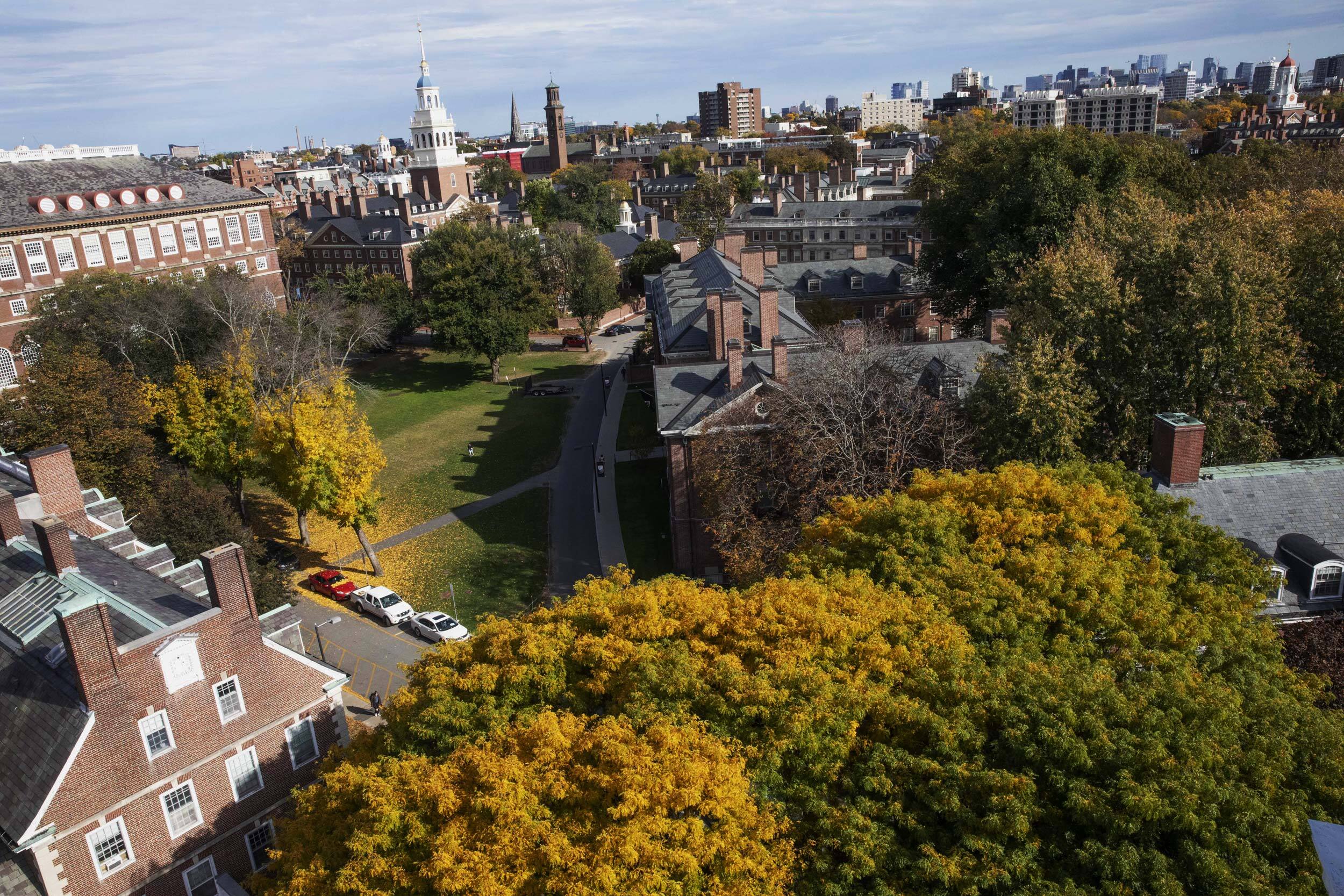 Harvard President Claudine Gay steps down — Harvard Gazette